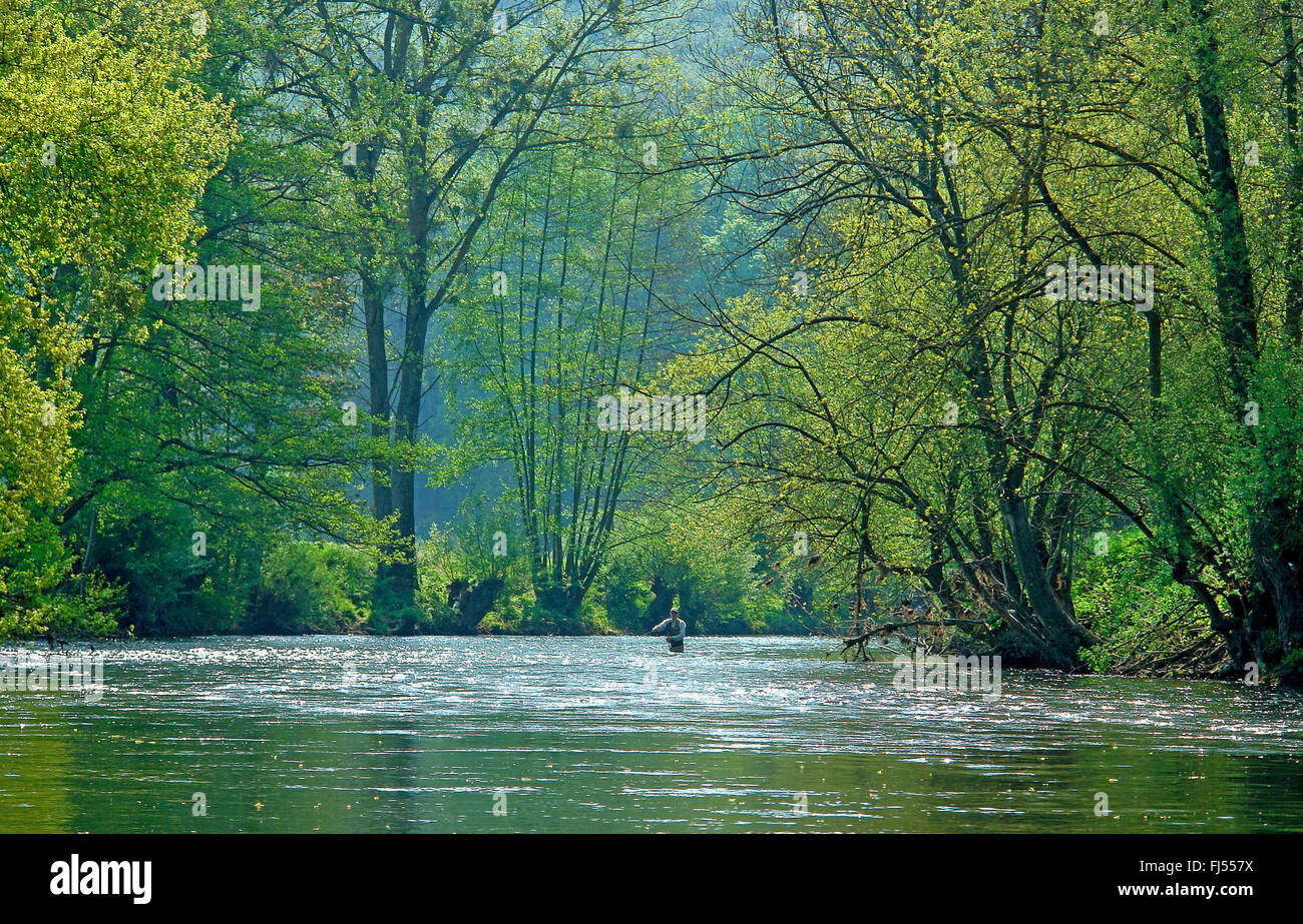 fly fishing in the river Enz, Germany, Baden-Wuerttemberg, Rosswag ...
