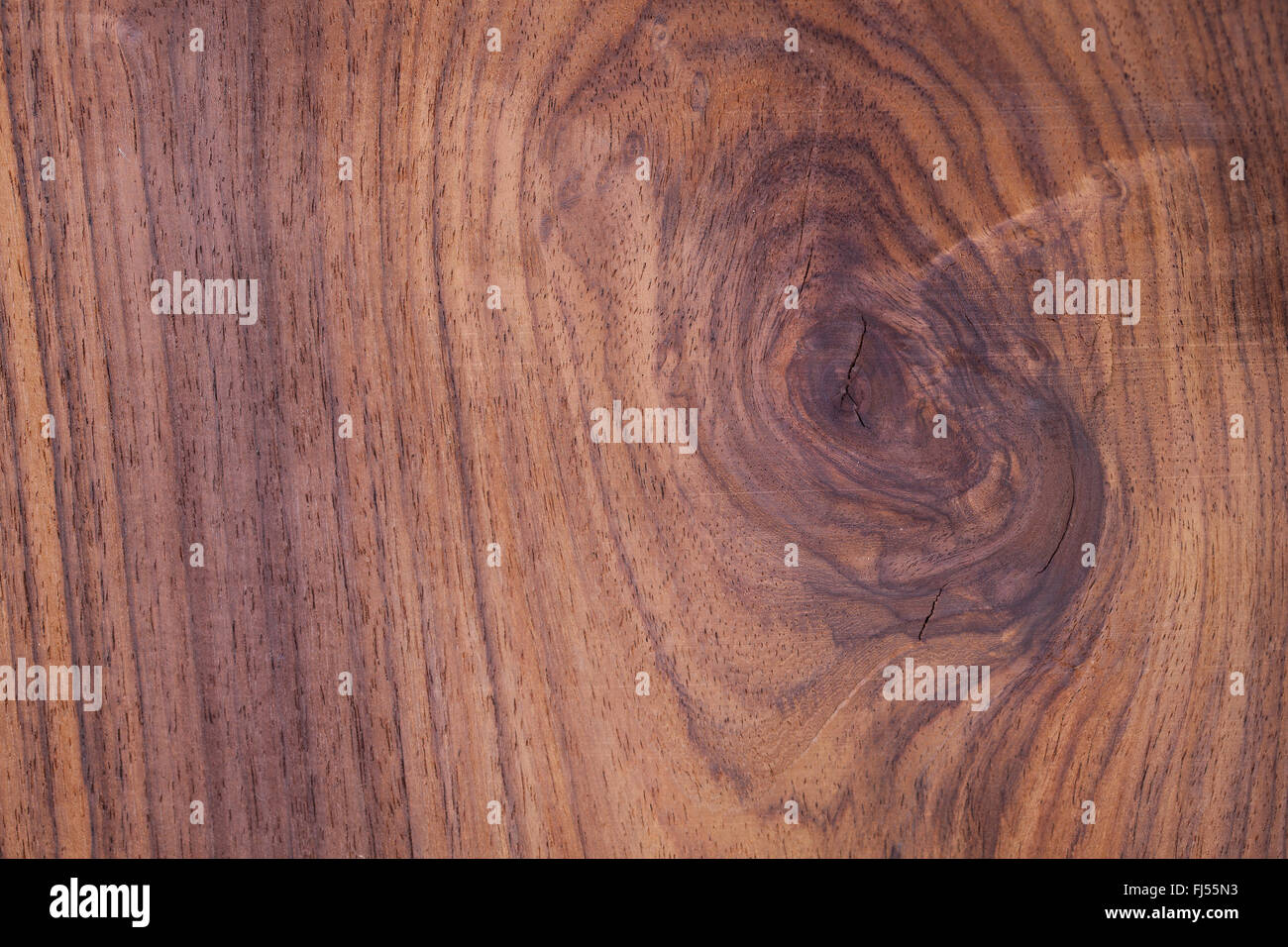 Exotic venner wood grain for textures and layering Stock Photo - Alamy