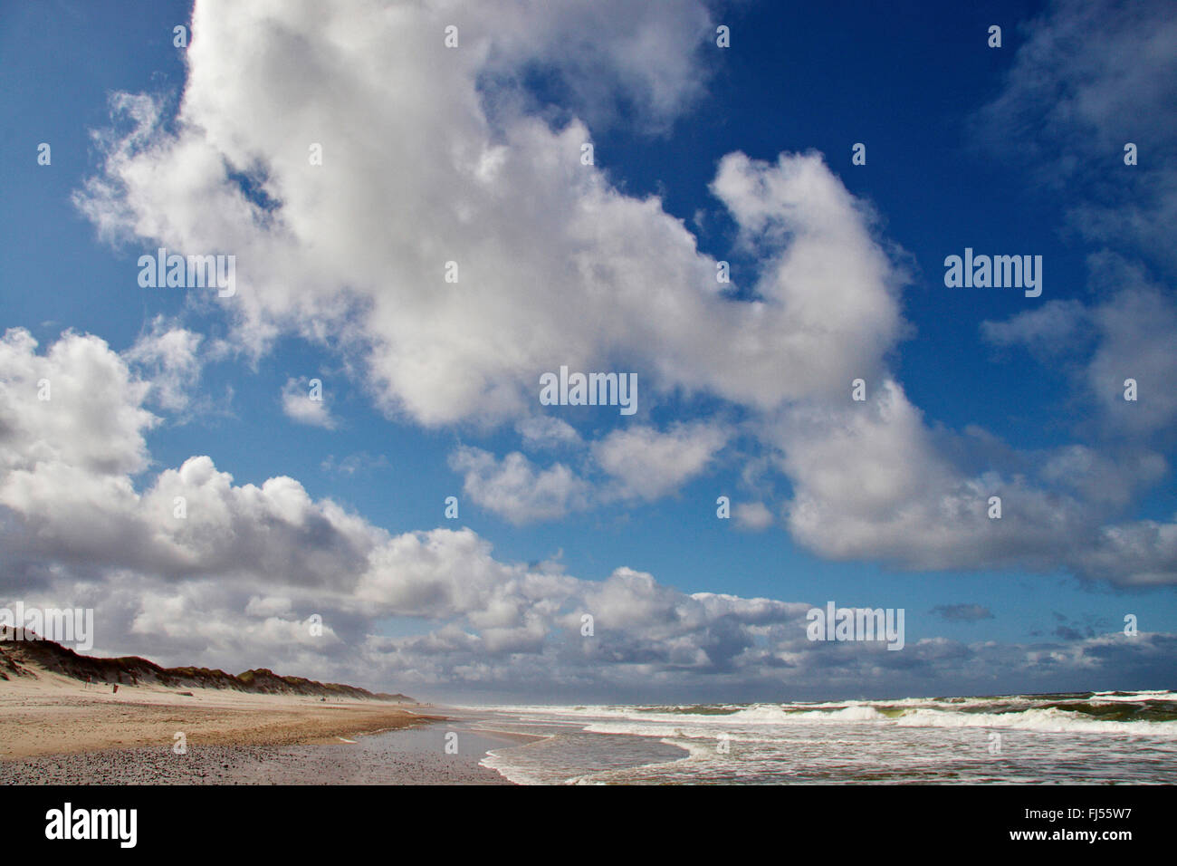 North Sea coast, Denmark, Sondervig, Ringkobing Stock Photo - Alamy