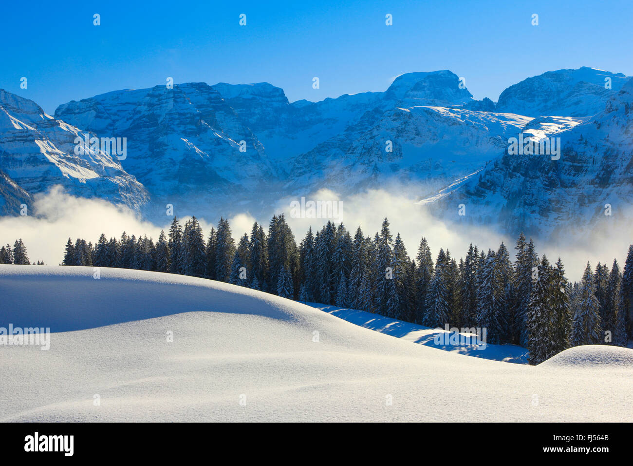 Toedi at the Wallis Alps, Switzerland Stock Photo - Alamy