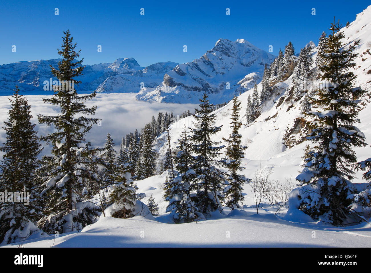 Ortstock and Toedi at the Wallis Alps, Switzerland Stock Photo - Alamy