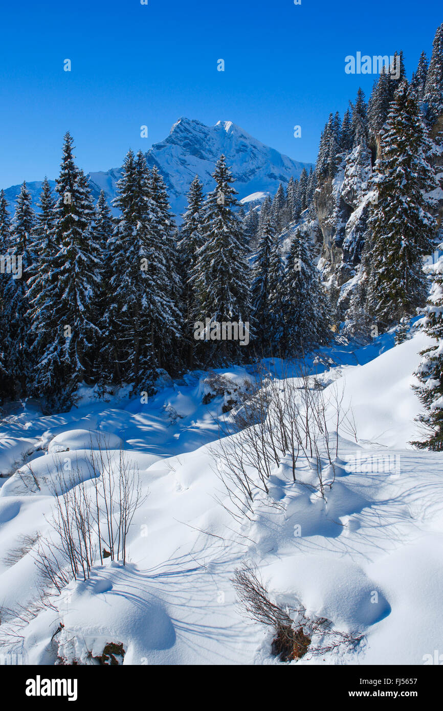 Ortstock and Toedi at the Wallis Alps, Switzerland Stock Photo - Alamy