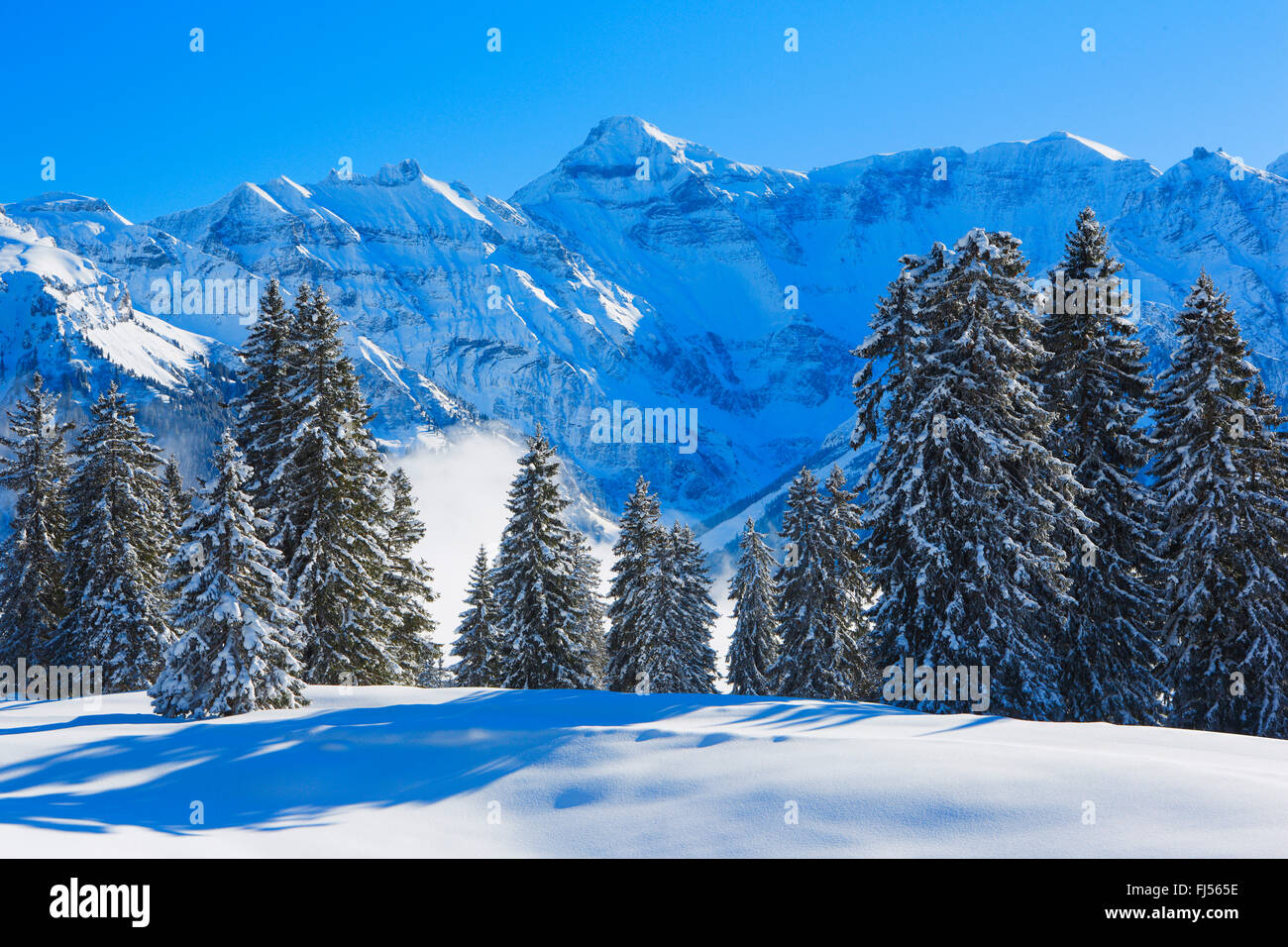 Wallis swiss hi-res stock photography and images - Alamy
