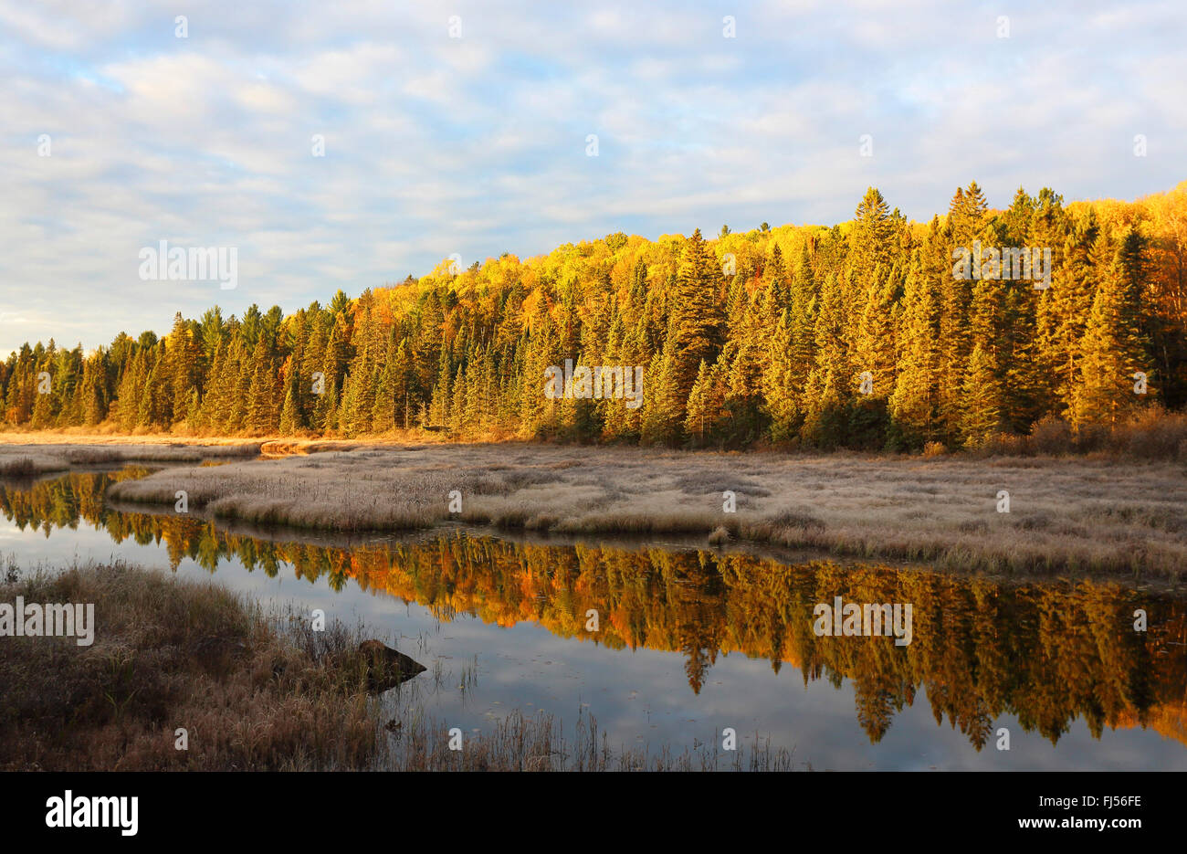 Indian summer canada hi-res stock photography and images - Alamy