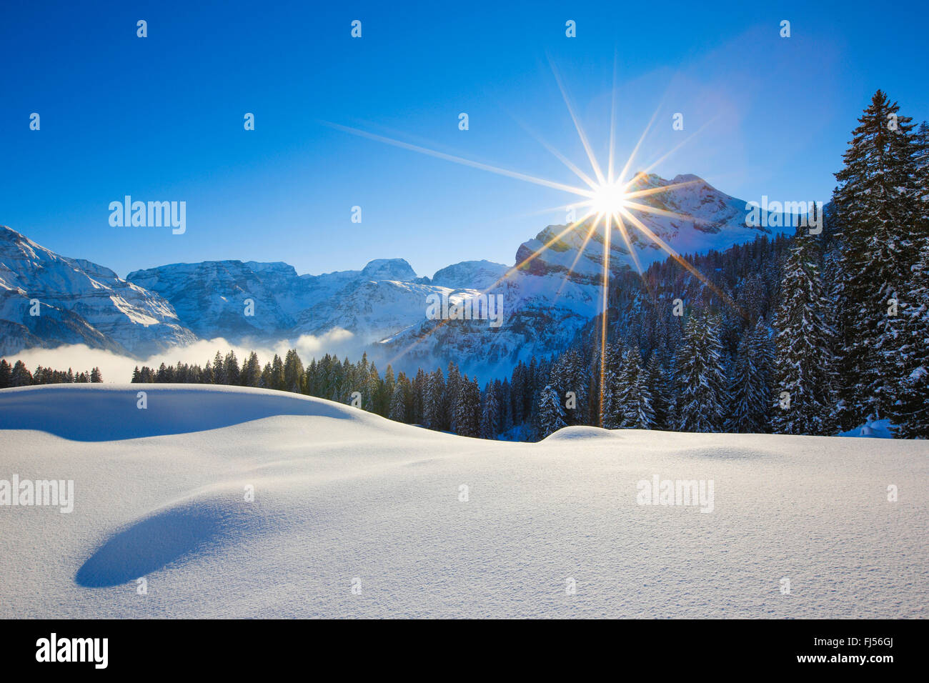 Ortstock and Toedi at the Wallis Alps, Switzerland Stock Photo - Alamy