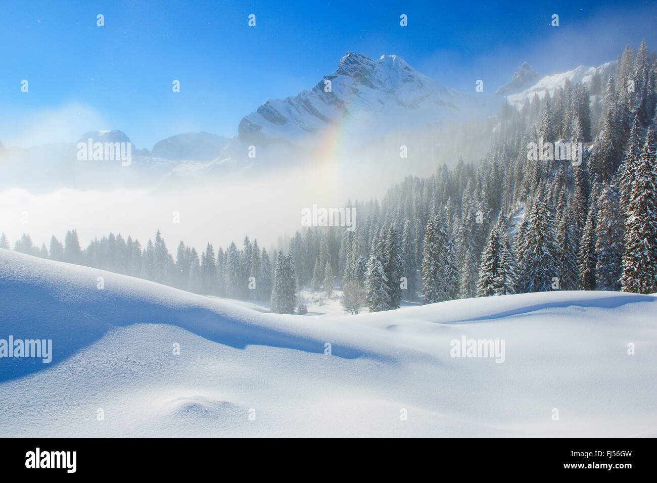 Ortstock at the Wallis Alps, Switzerland Stock Photo - Alamy