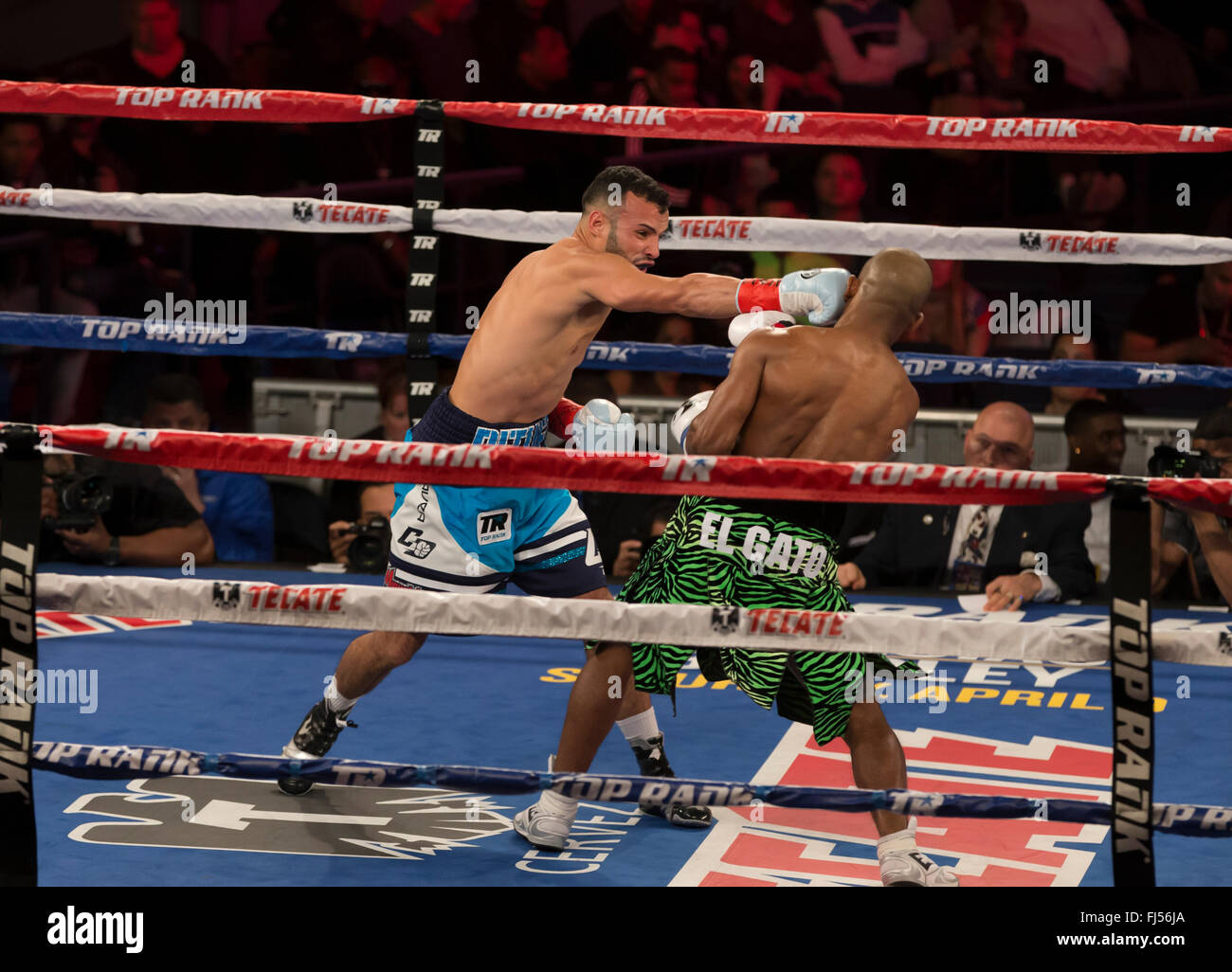 Professional boxing hi-res stock photography and images - Alamy