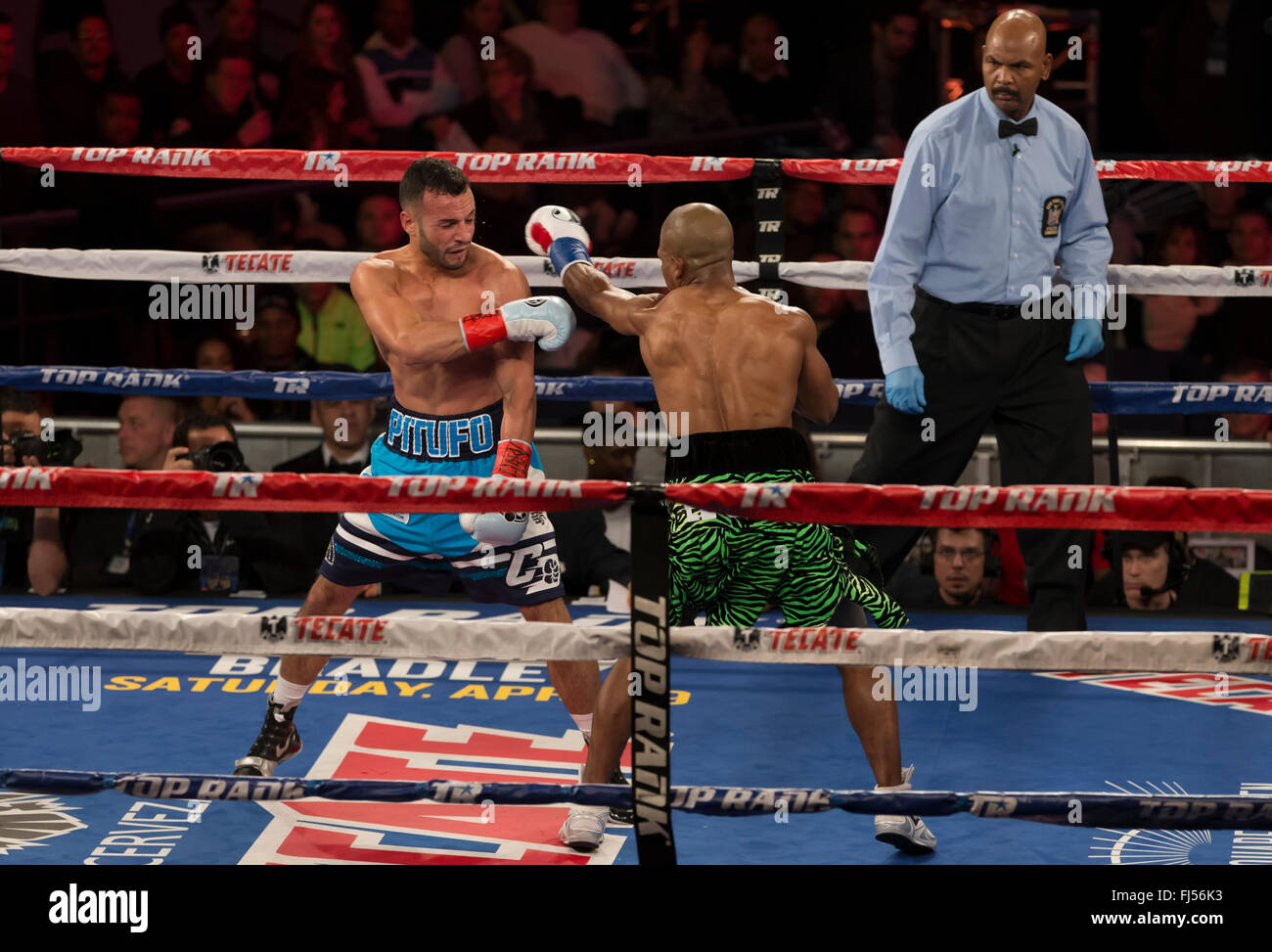 Professional boxing hi-res stock photography and images - Alamy