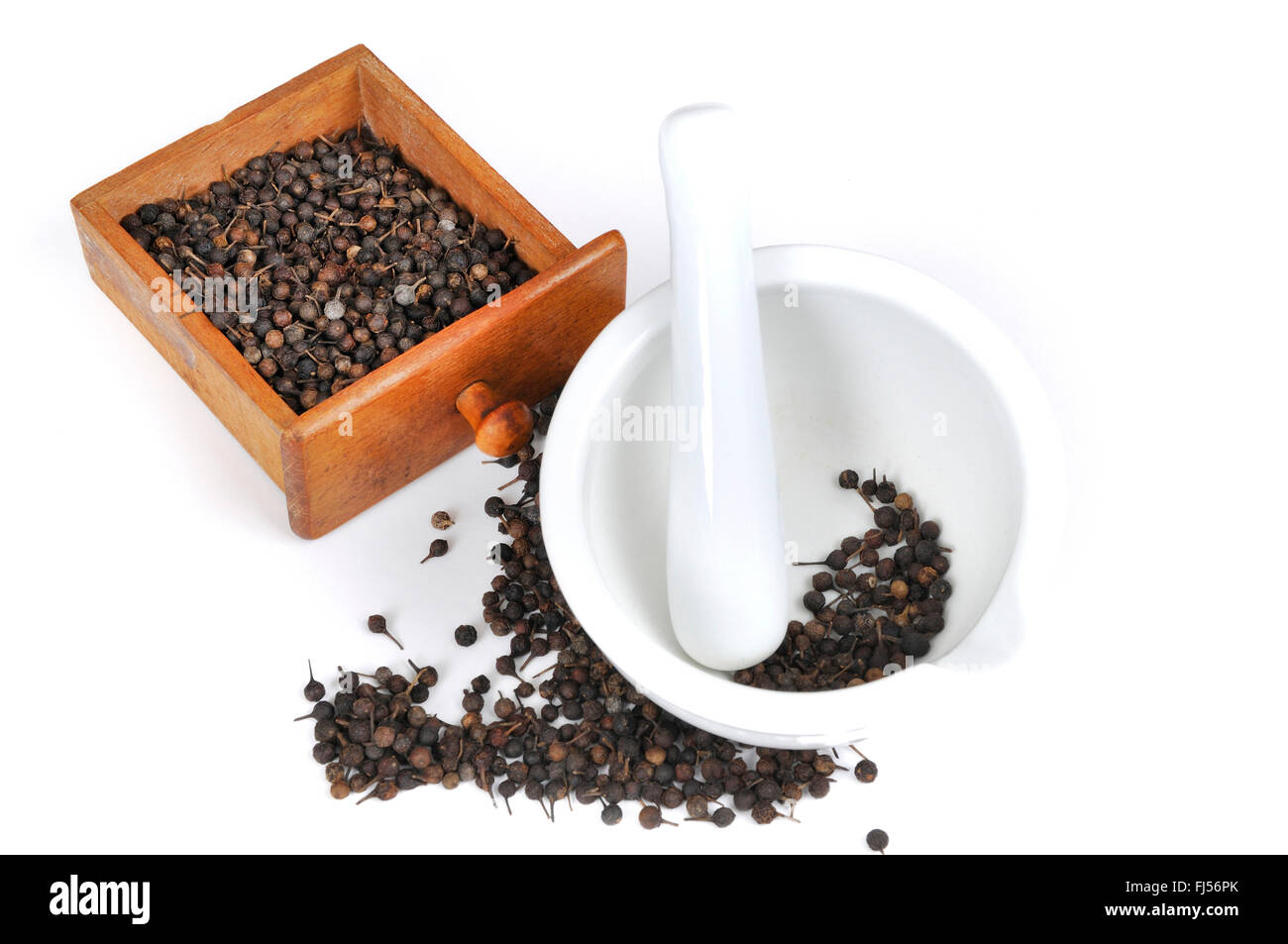 Cubeb pepper, Tailed Pepper (Piper cubeba), wooden drawer with dried ...