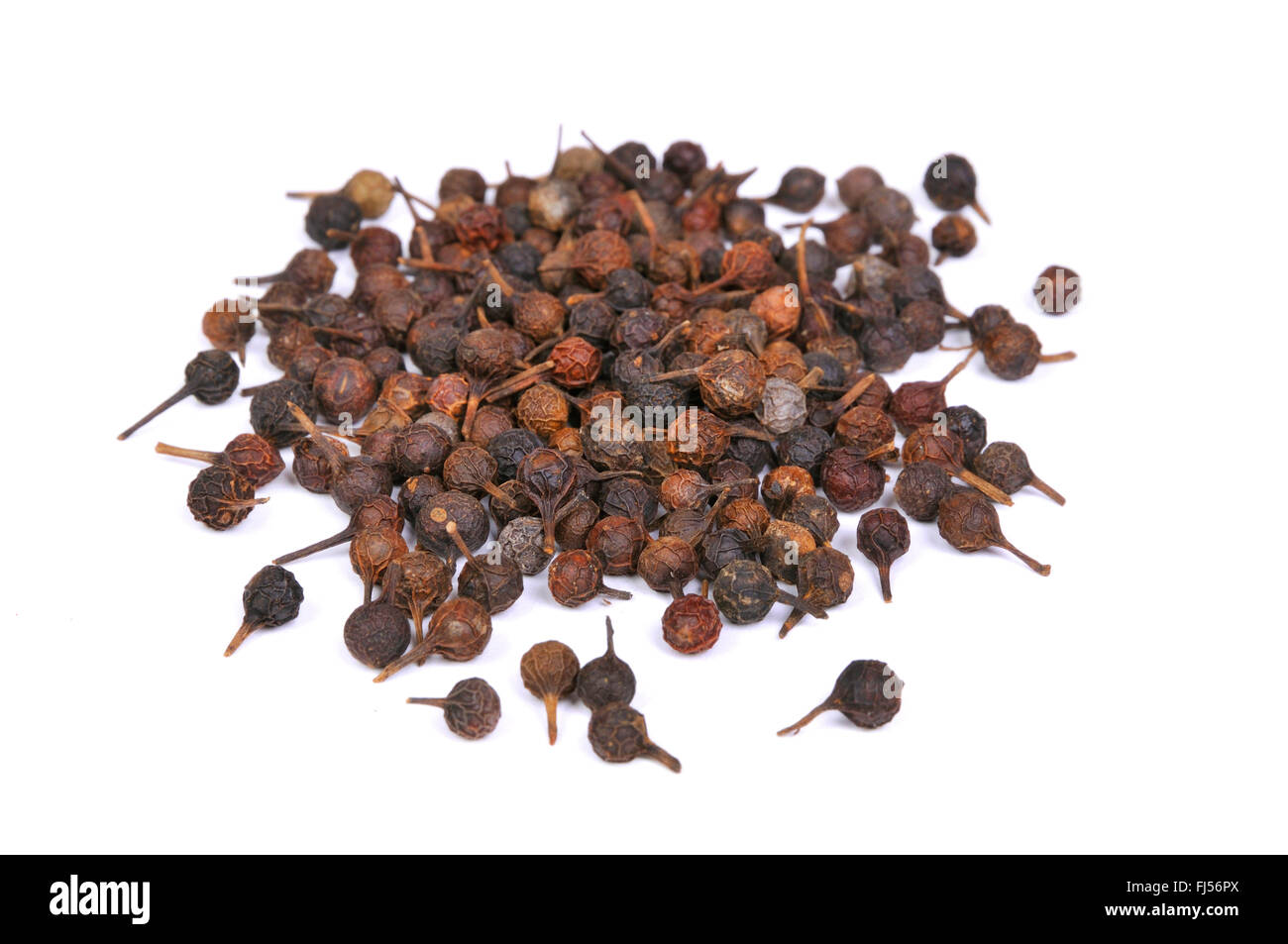 Cubeb pepper, Tailed Pepper (Piper cubeba), dried fruits Stock Photo ...