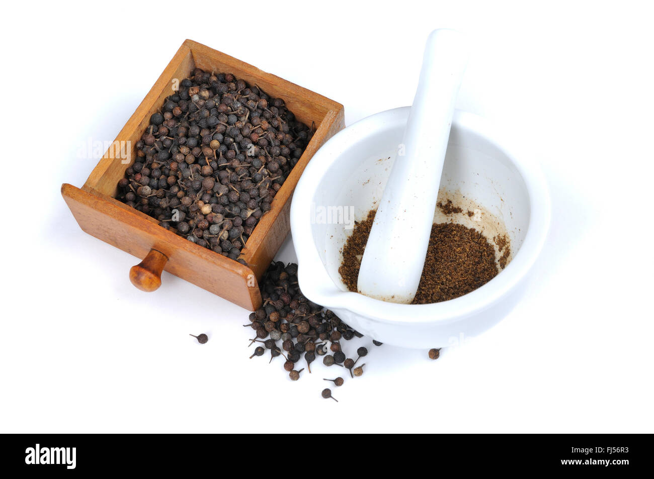 Cubeb pepper, Tailed Pepper (Piper cubeba), wooden drawer with dried ...