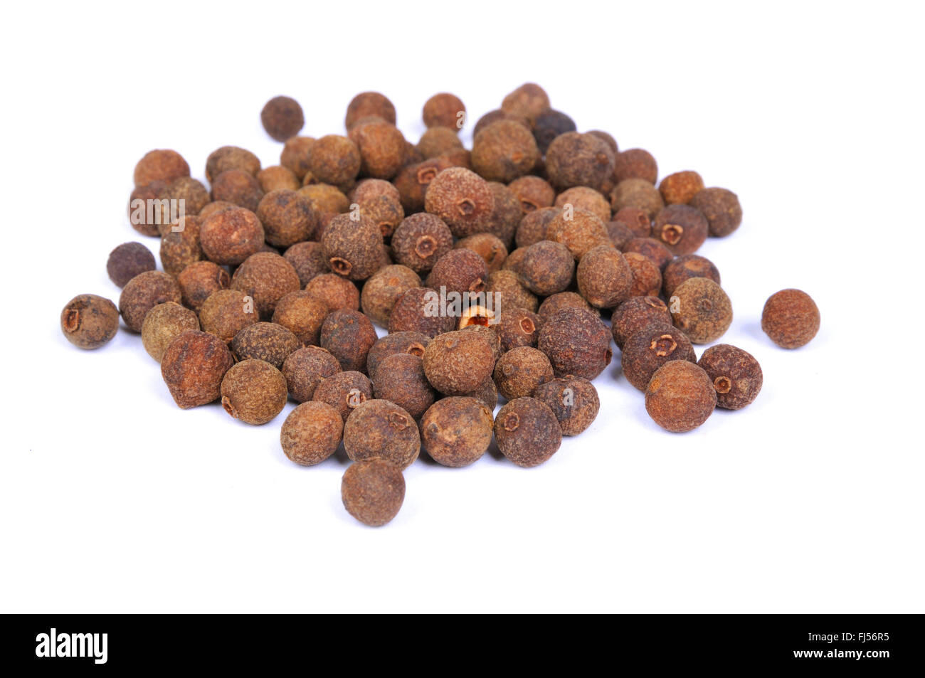 allspice, pimento (Pimenta dioica), dried fruits, allspice corns Stock ...