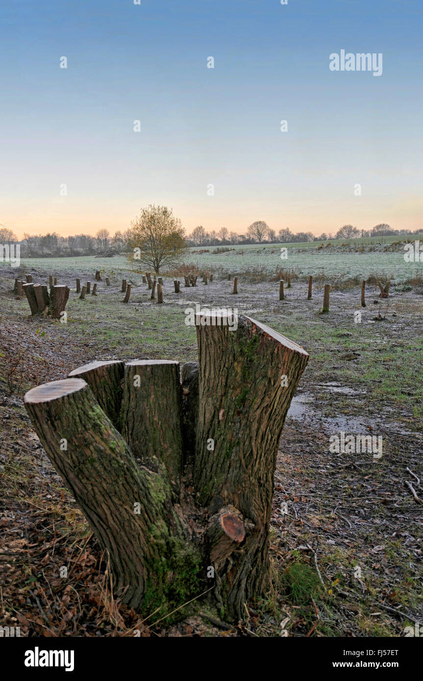 Retention basin hi-res stock photography and images - Alamy