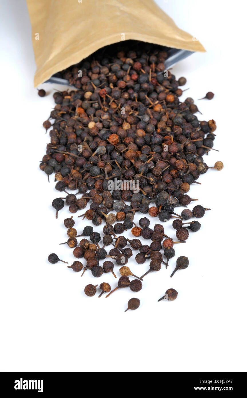 Cubeb pepper, Tailed Pepper (Piper cubeba), paper bag with dried fruits ...