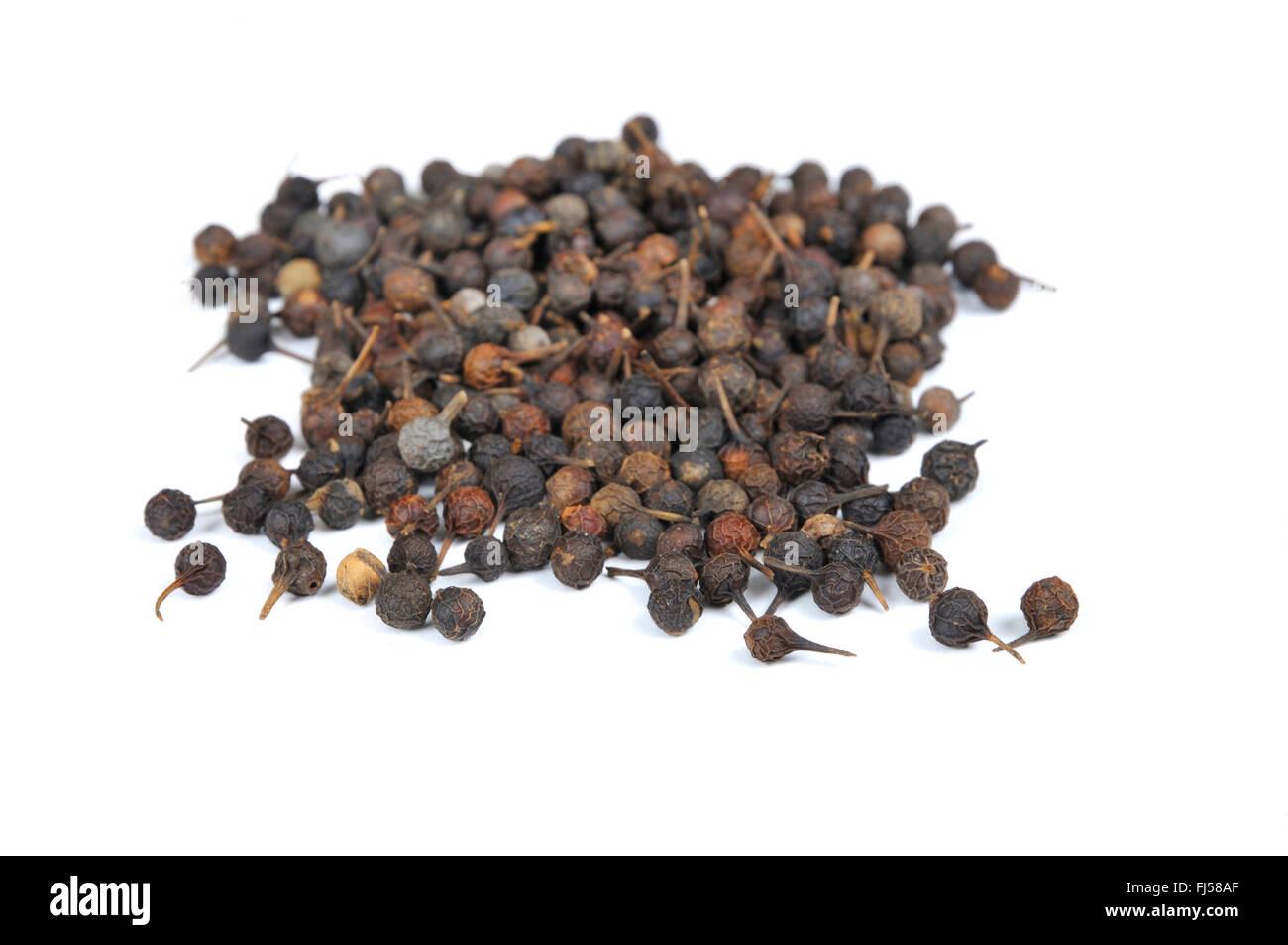 Cubeb pepper, Tailed Pepper (Piper cubeba), dried fruits Stock Photo ...