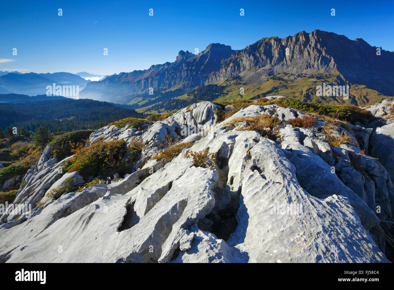 Karst landscape nature reserve hi-res stock photography and images - Alamy