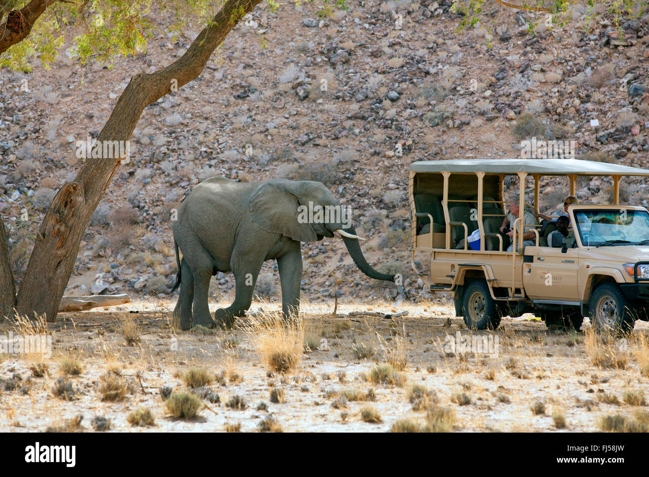 Desert safari vehicles hi-res stock photography and images - Alamy