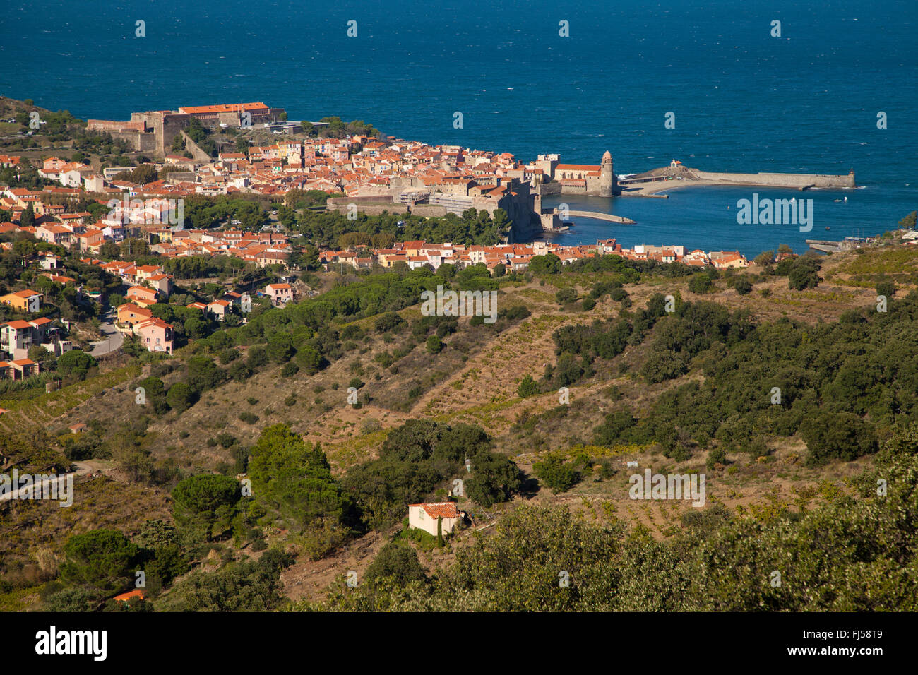 The Mediterranean town of Collioure, South of France Stock Photo - Alamy