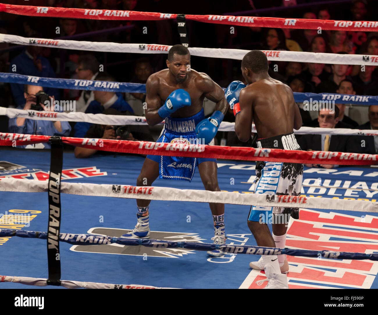 New York, NY USA - February 27, 2016: Terence Crawford fights Henry ...