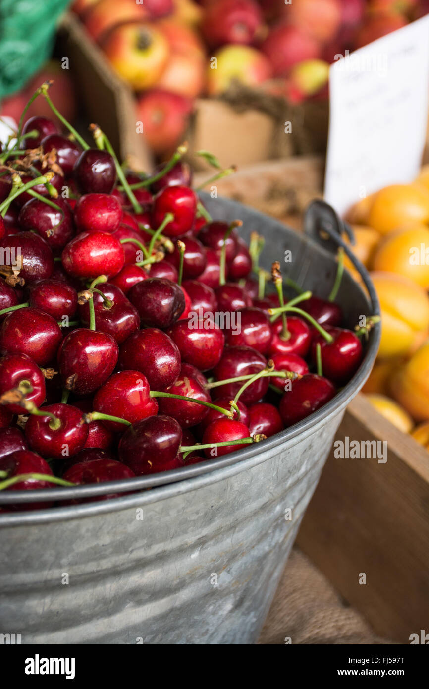 Cherries in bucket Stock Photo - Alamy