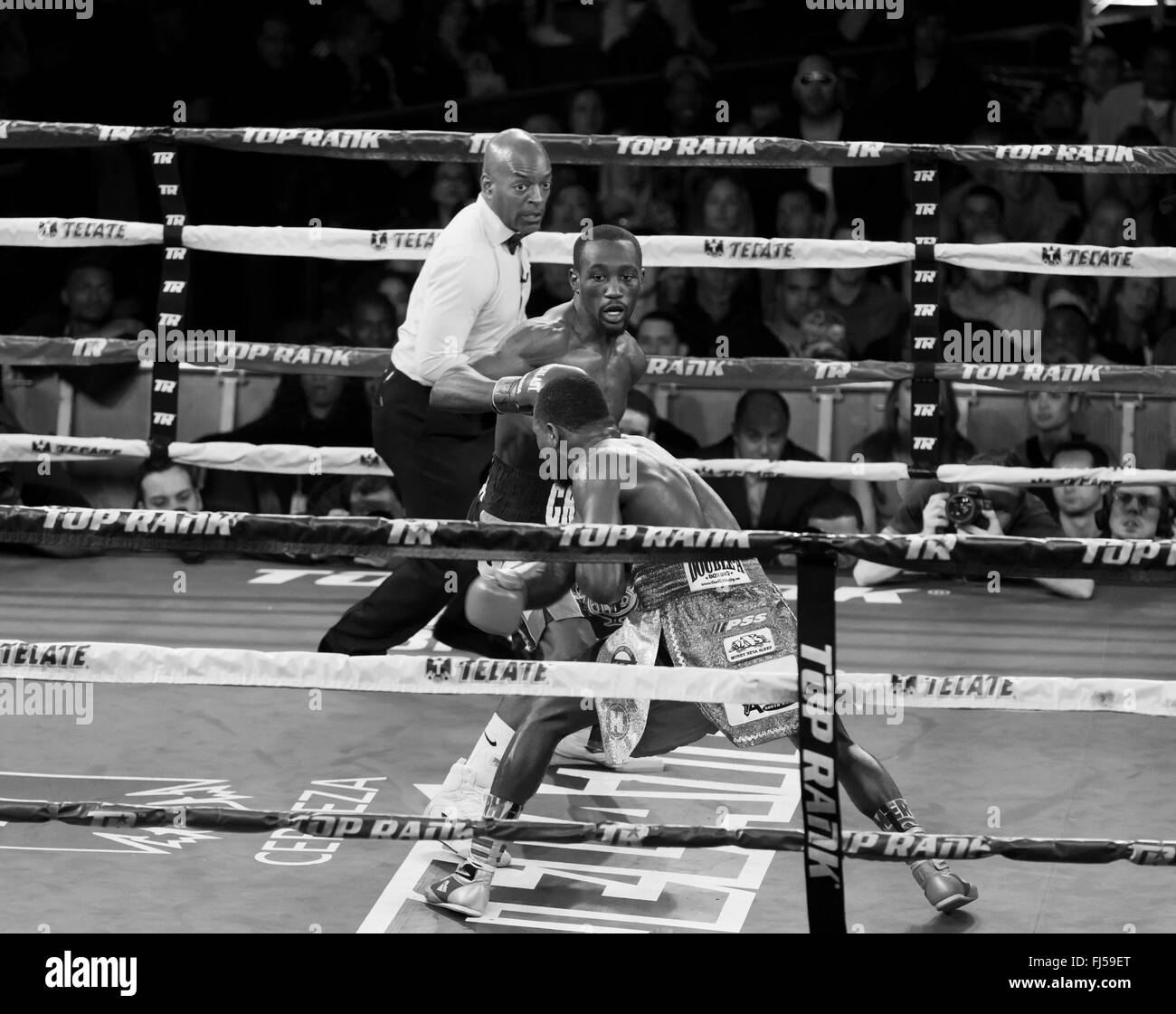 Wbo in Black and White Stock Photos & Images - Alamy