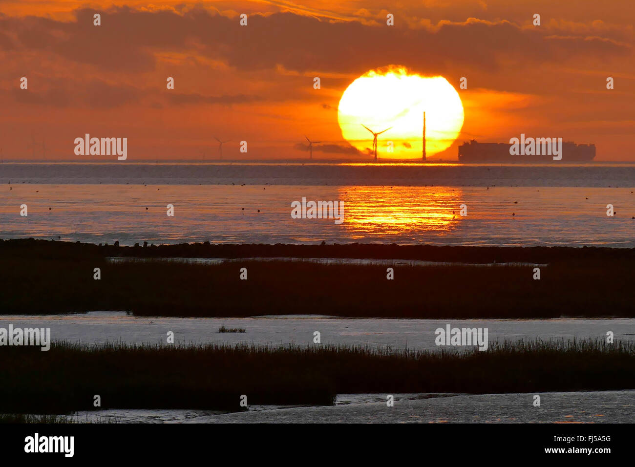 wadden sea near Spieka Neufeld at sunset, car ferry on the Weser ...