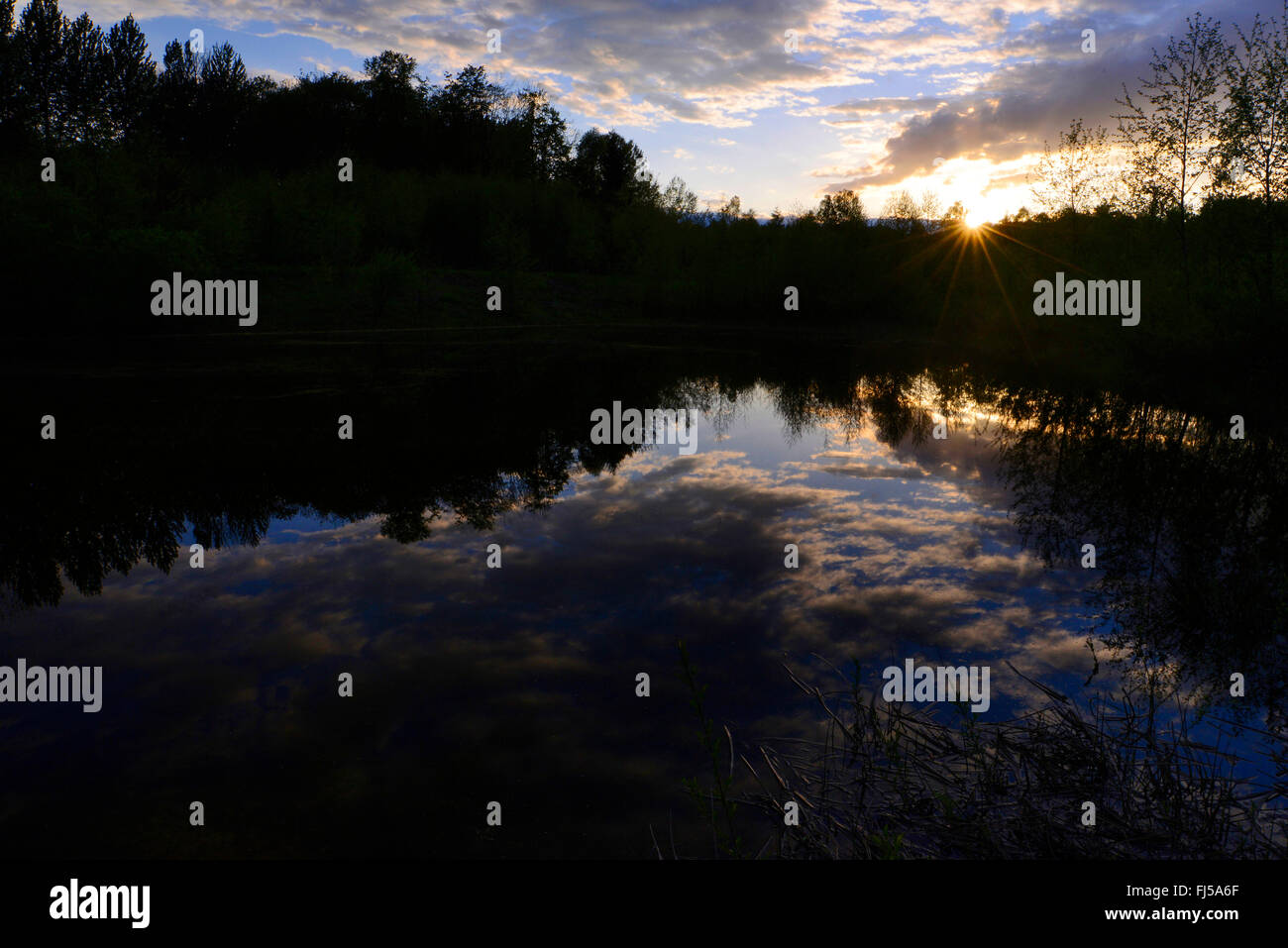lake at sunset, Germany, Baden-Wuerttemberg, Oberschwaben , Ravensburg Stock Photo - Alamy