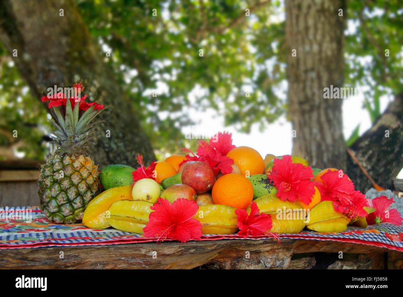 Hibiscus Fruits High Resolution Stock Photography and Images - Alamy