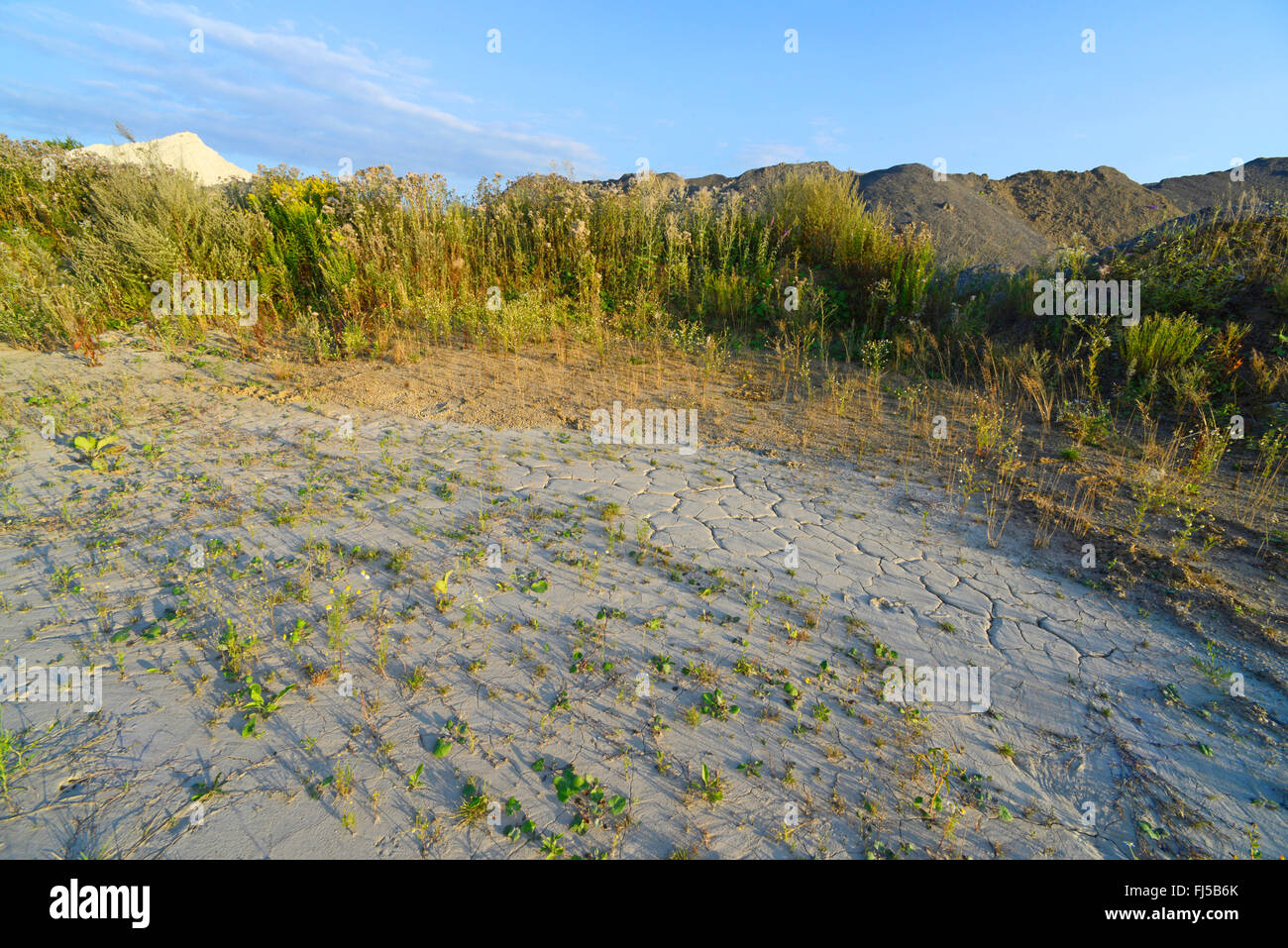 Lime deposits hi-res stock photography and images - Alamy