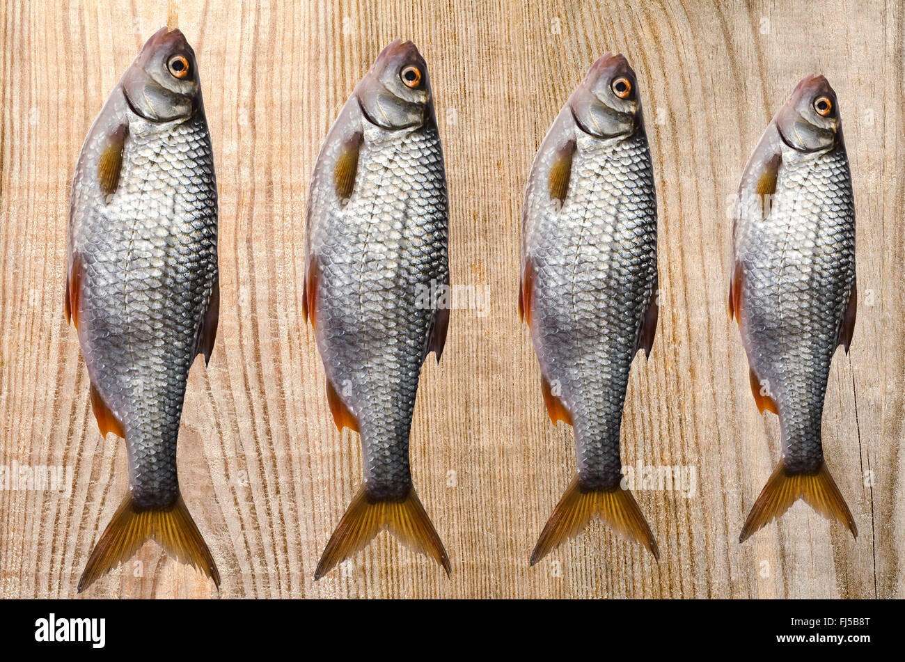 Board fish whole river lays hi-res stock photography and images - Alamy