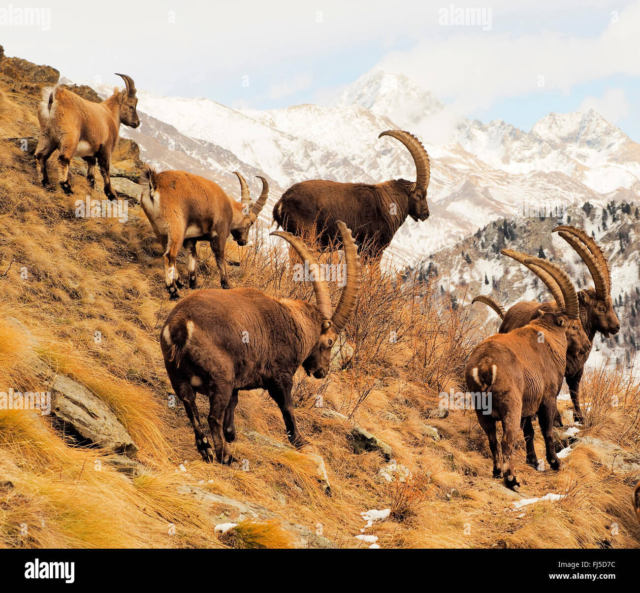 Male group hi-res stock photography and images - Alamy