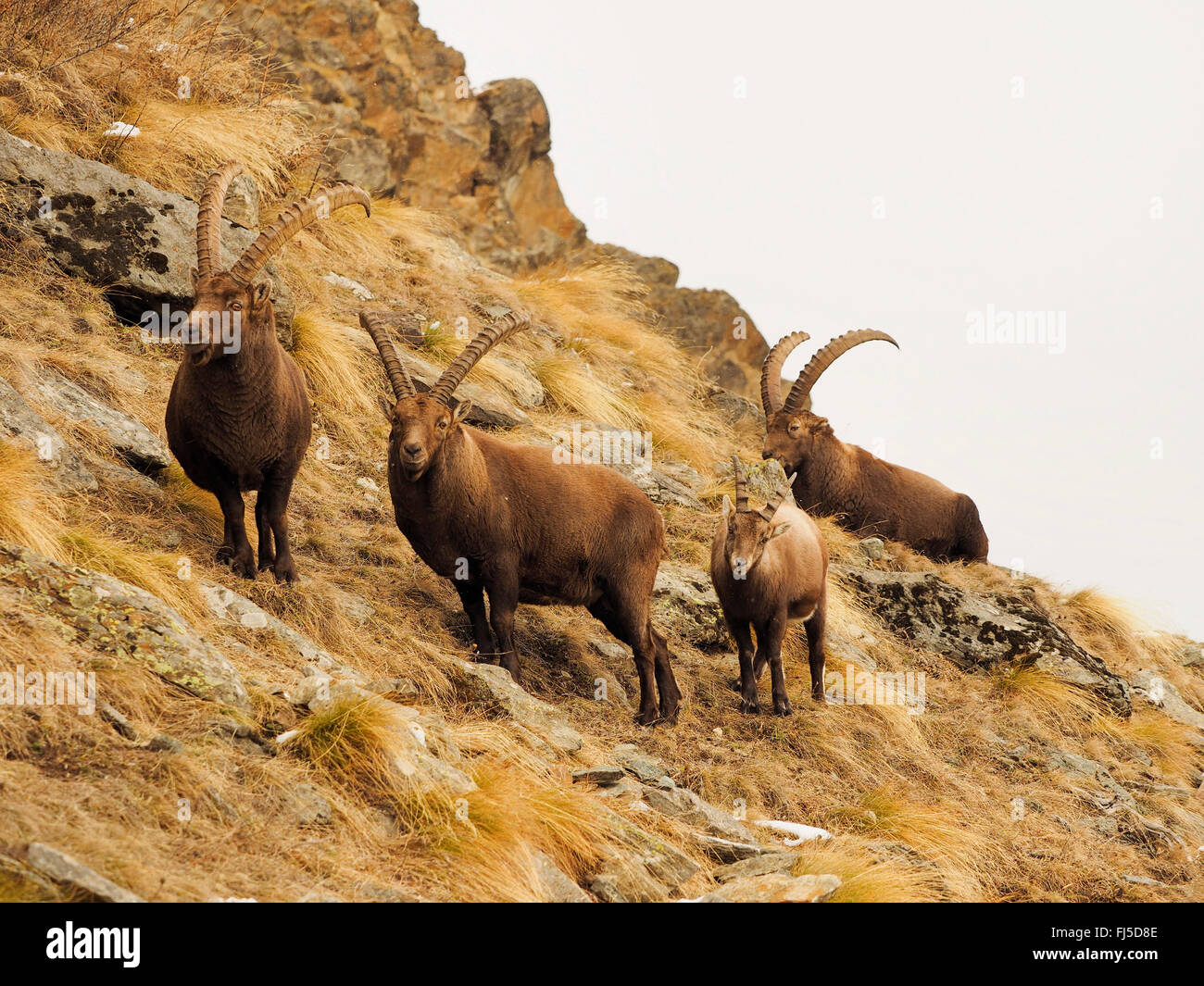 Male group hi-res stock photography and images - Alamy