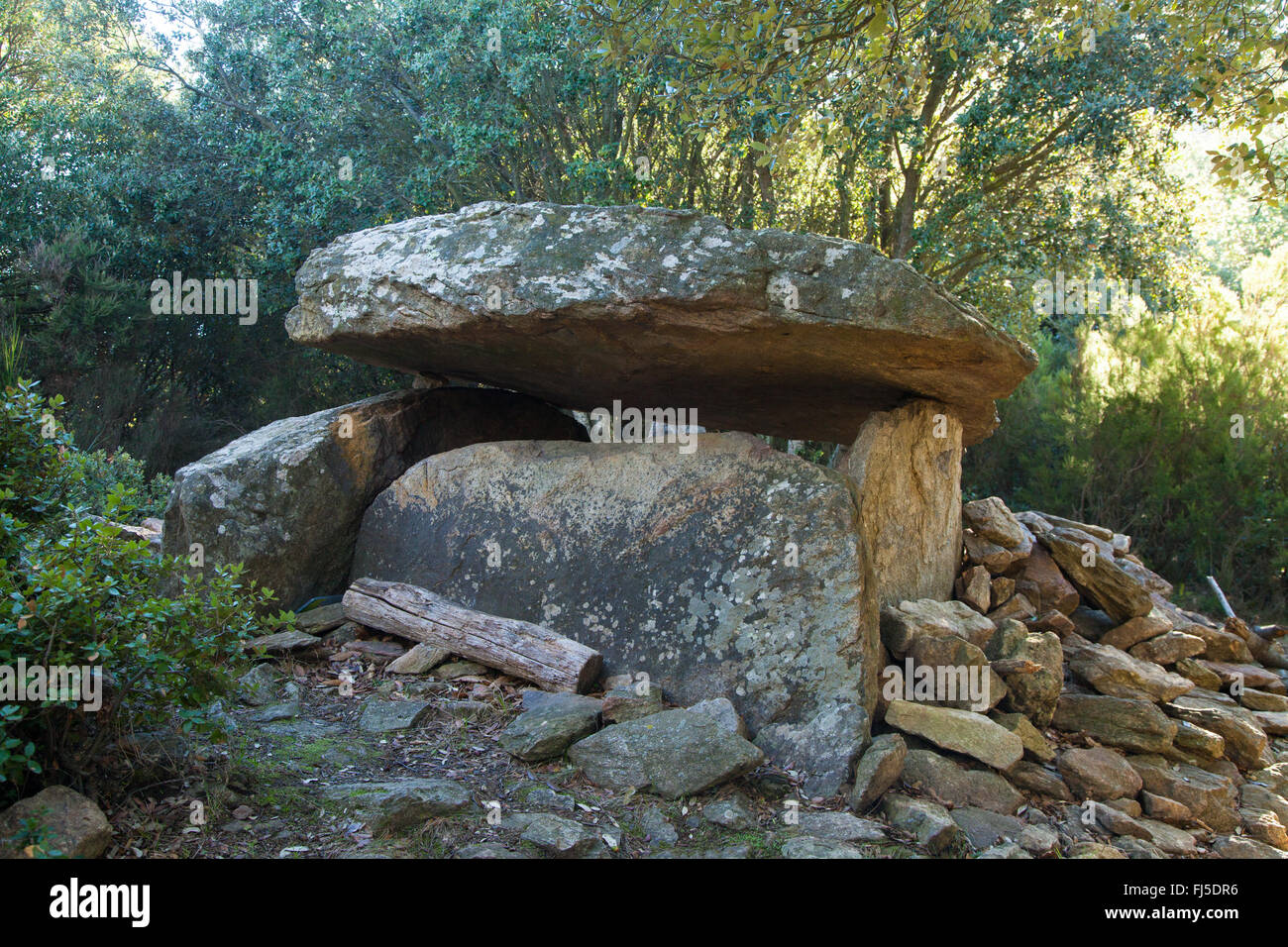 A neolithic burial chamber (Dolmen) near the mountain Puig Neulós in ...