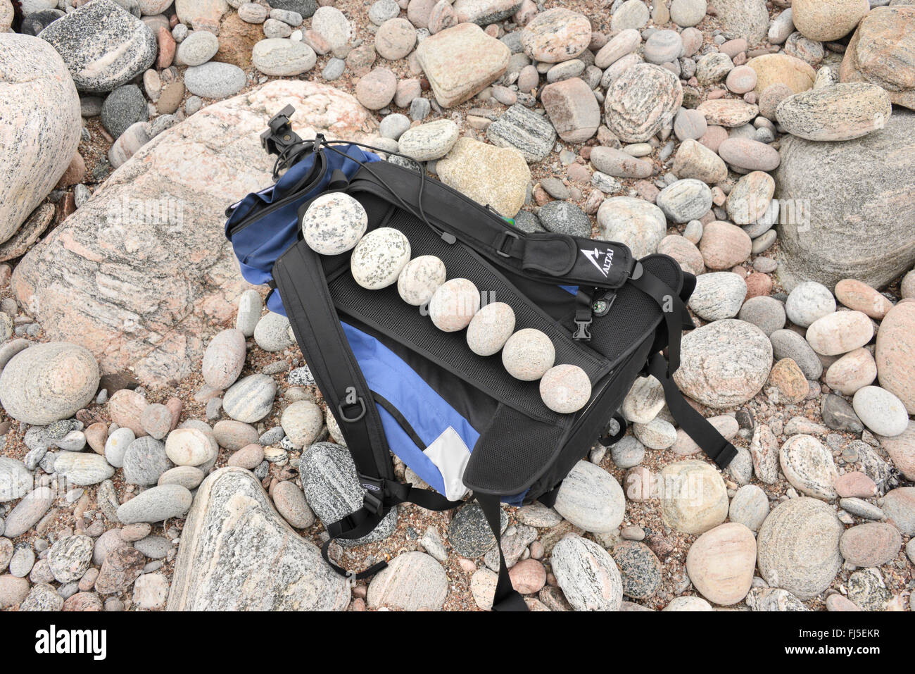 Collection of rocks on the back of a rucksack on the stony beach at ...