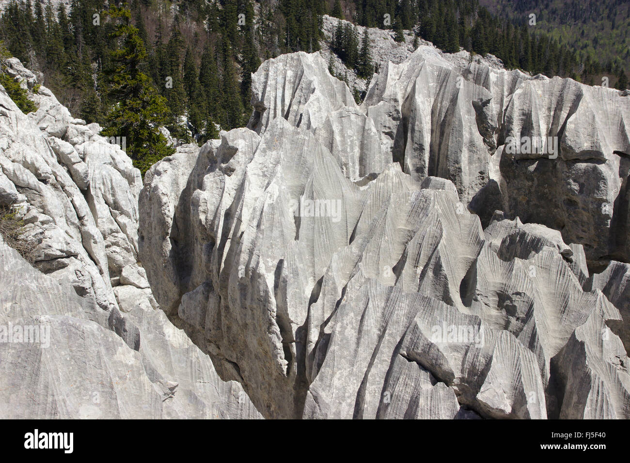 Karren in karst landscape, Croatia, Northern Velebit National Park ...