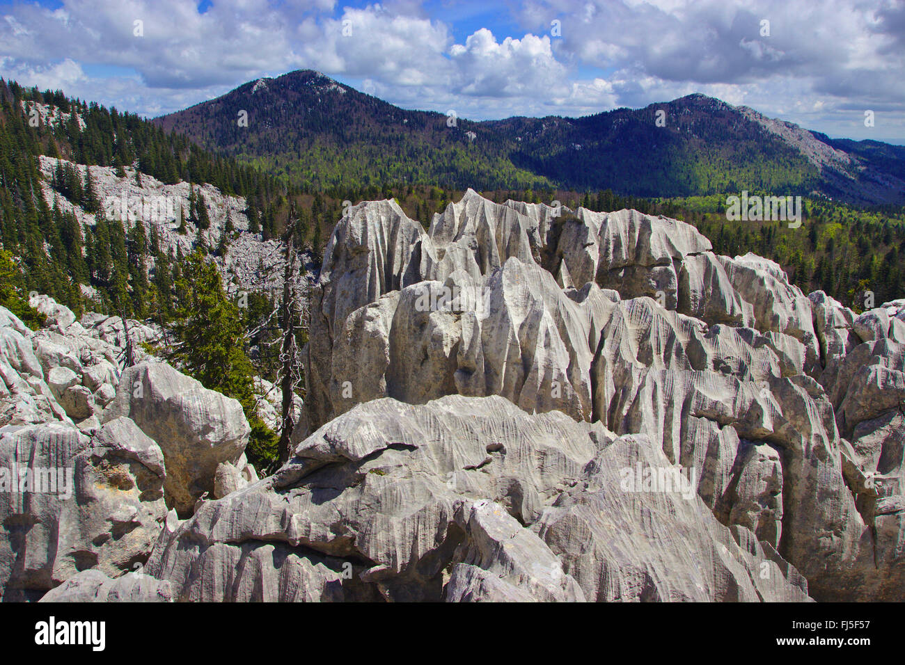 Karren in karst landscape, Croatia, Northern Velebit National Park ...