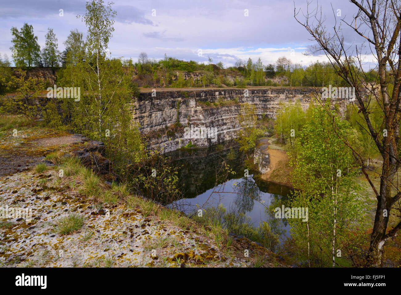 renatured limestone quarry with pond and steep faces, Germany, Baden ...