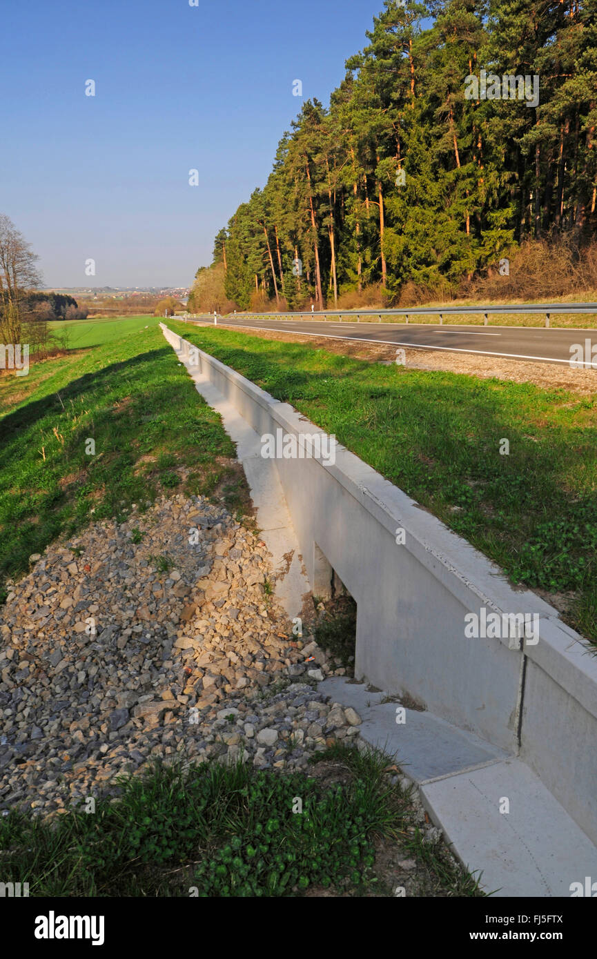 Frog fence hi-res stock photography and images - Alamy