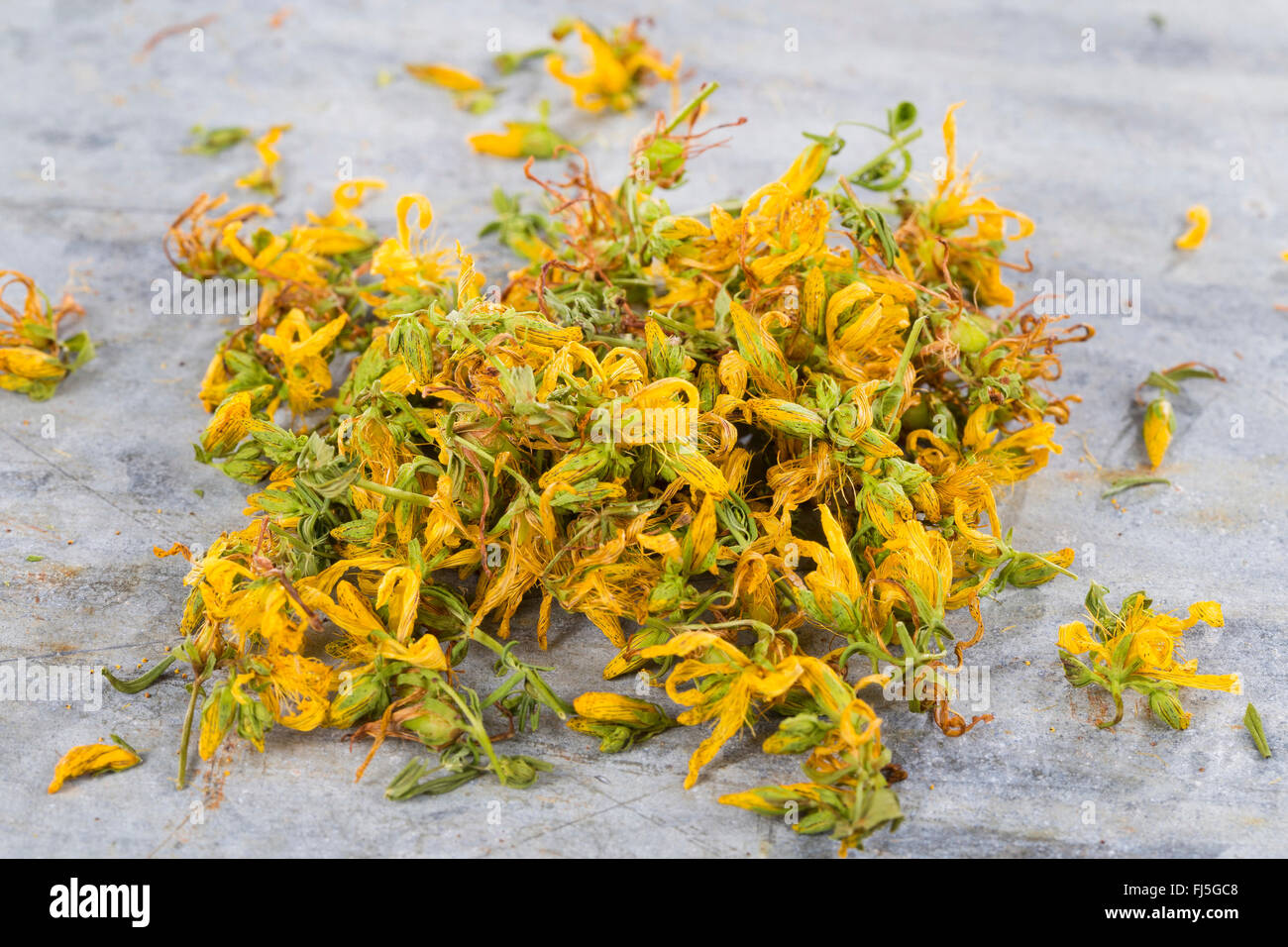 Common St John's-wort, perforate St John's-wort, klamath weed, St. John ...