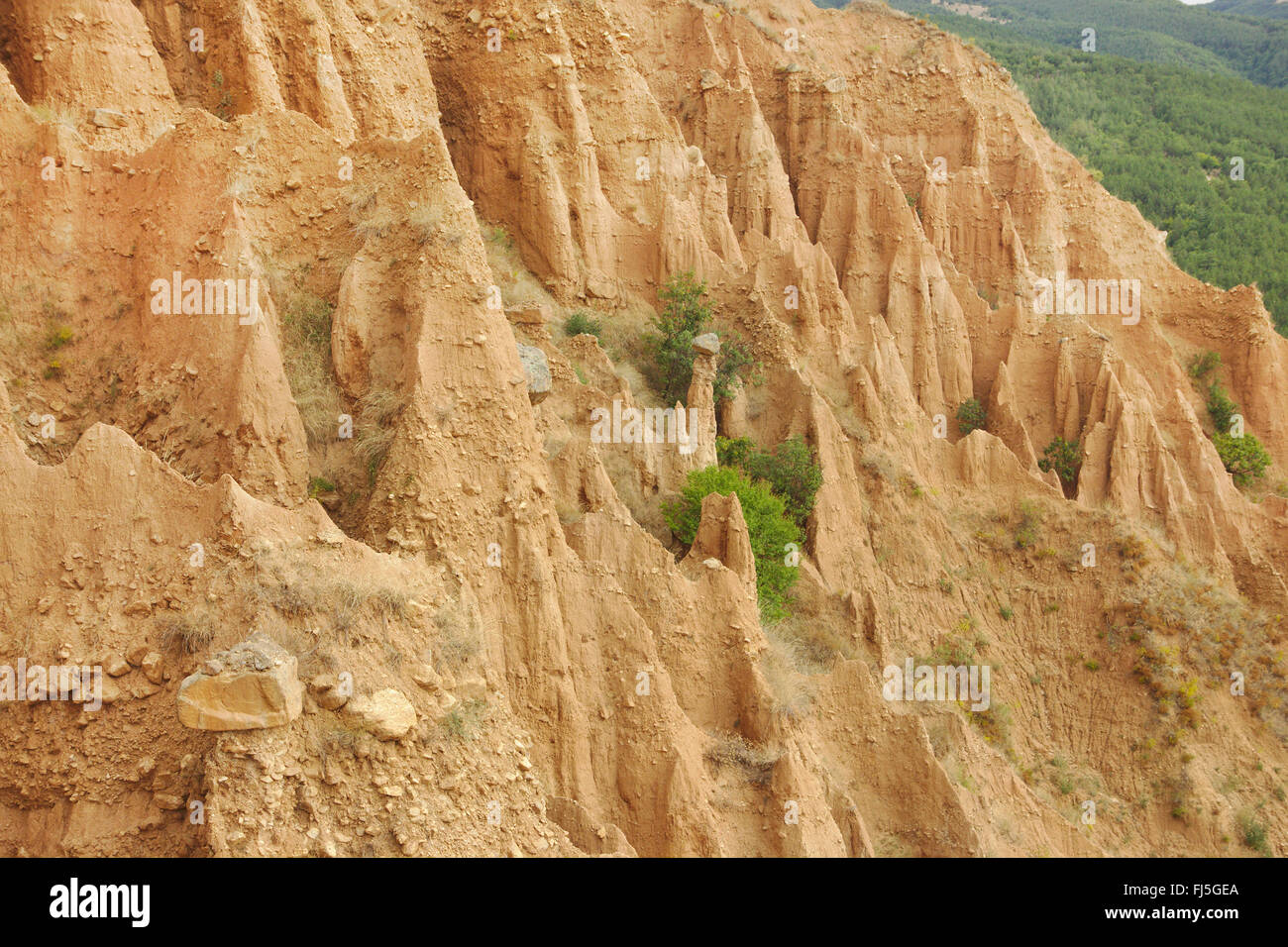 sandstone pyramids of Stob, Bulgaria, Kapatishkiya, Naturpark Rila ...