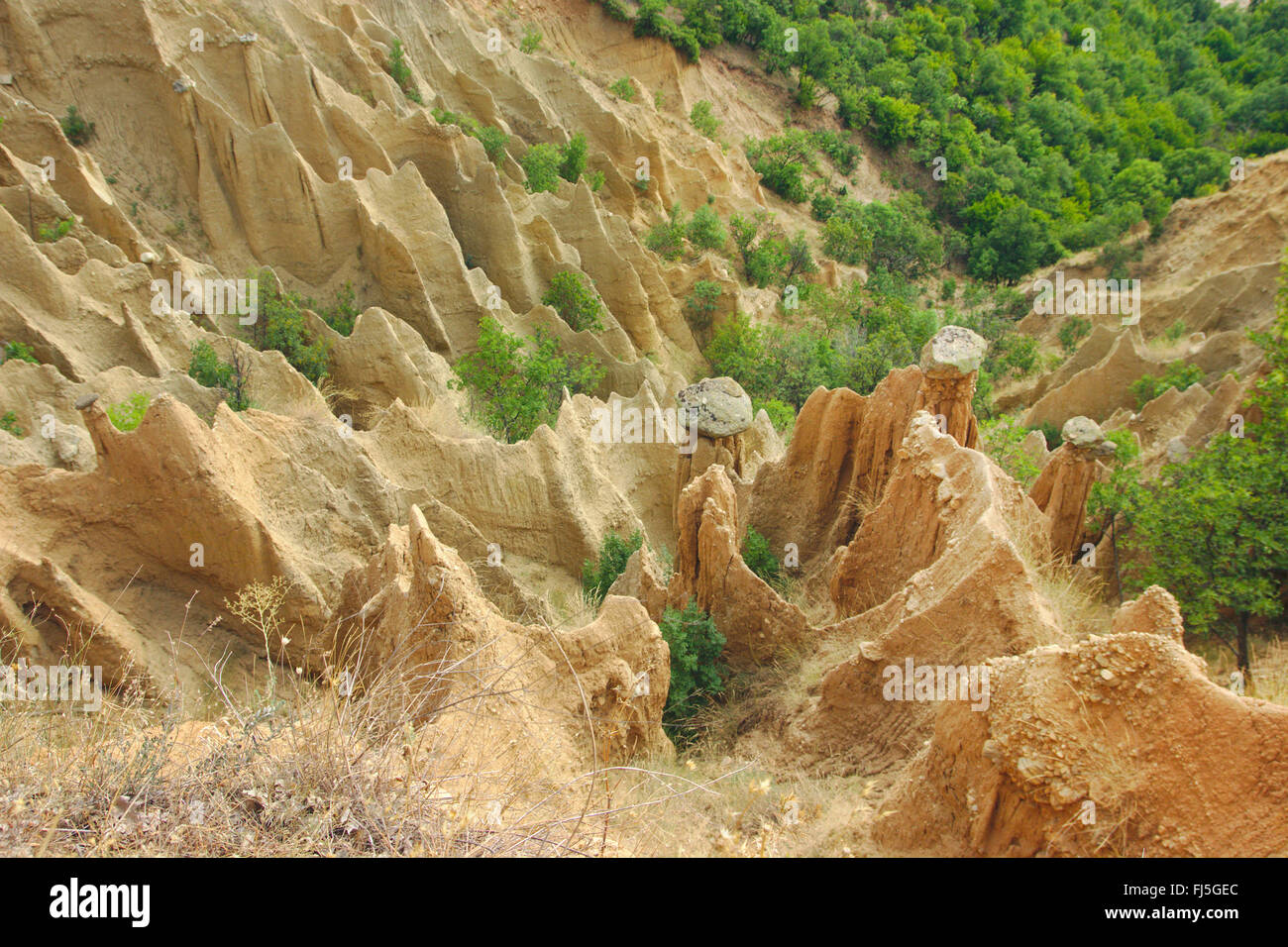 sandstone pyramids of Stob, Bulgaria, Kapatishkiya, Naturpark Rila ...