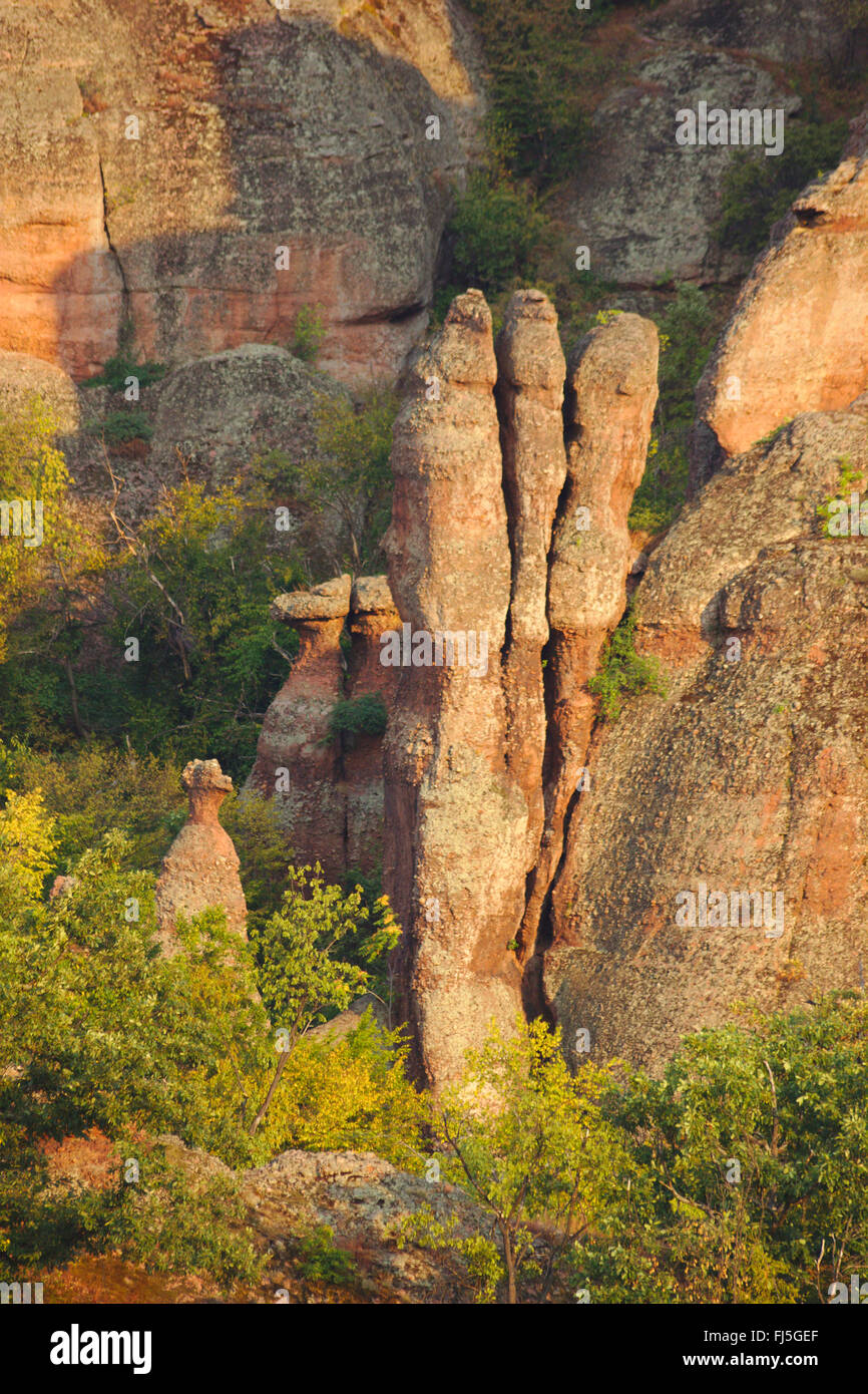 Belogradchik rocks, Bulgaria, Belogradchik Stock Photo - Alamy