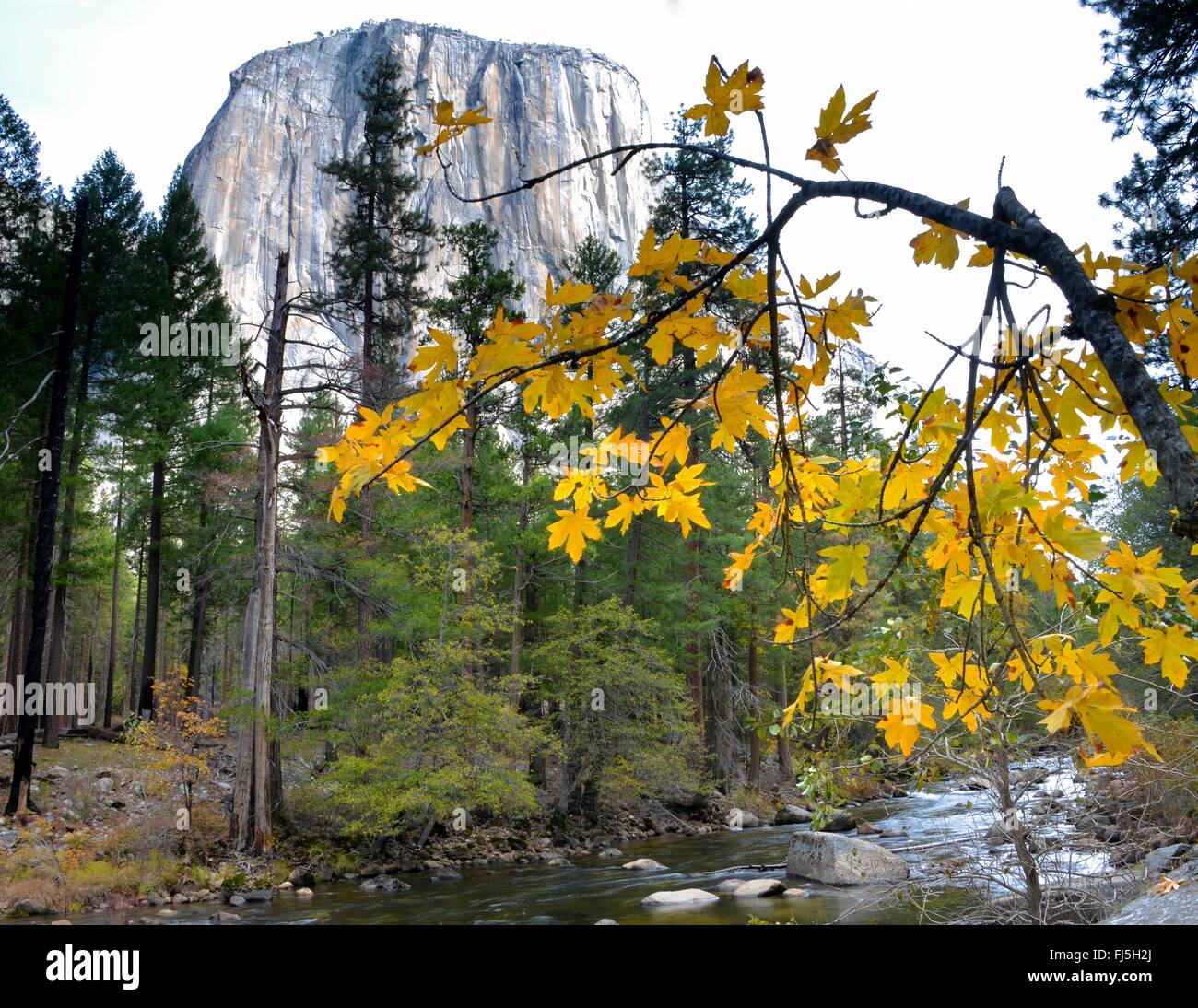 Mersed River, Yosemite National Park, California Stock Photo - Alamy