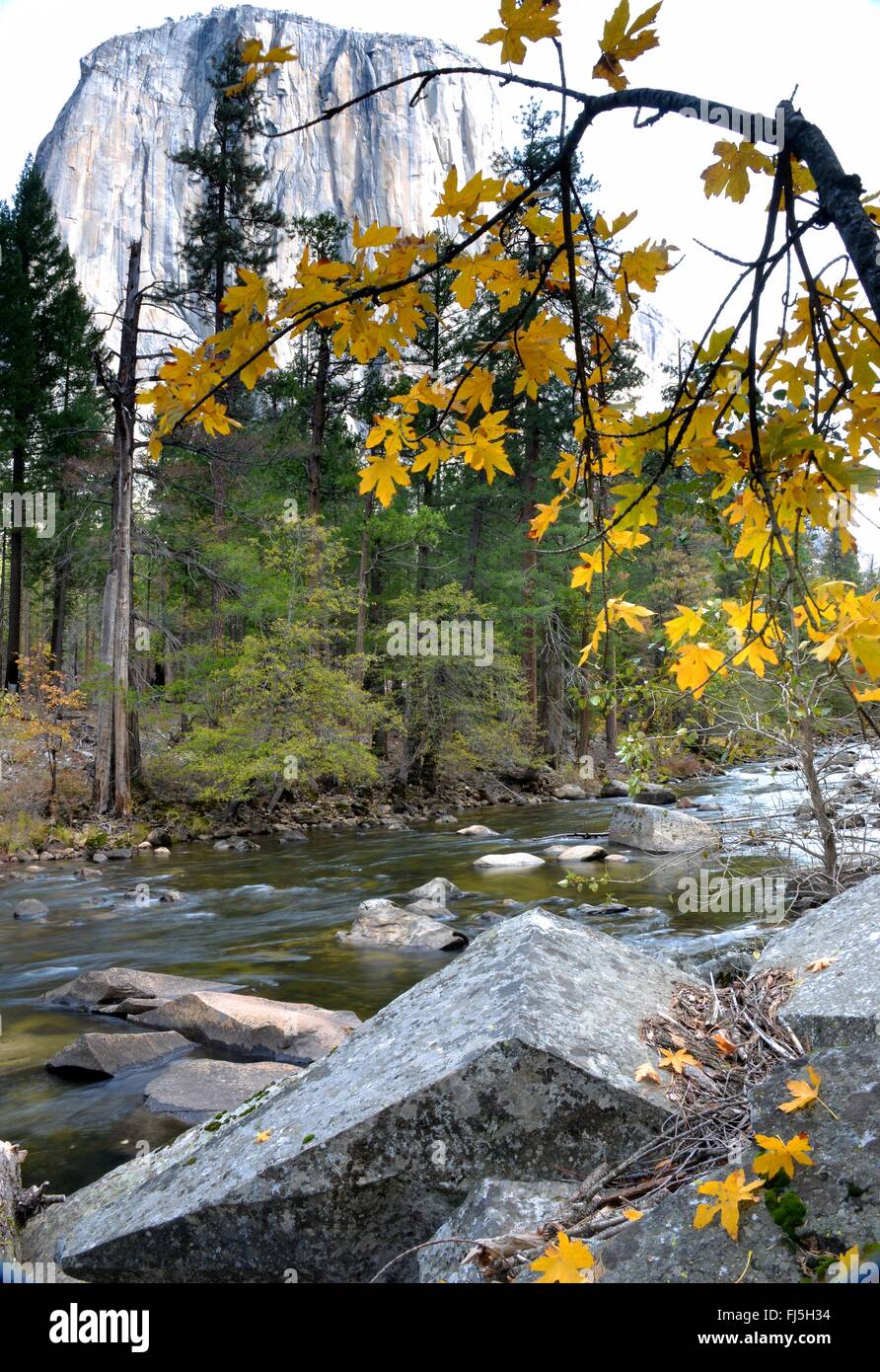 Mersed river hi-res stock photography and images - Alamy