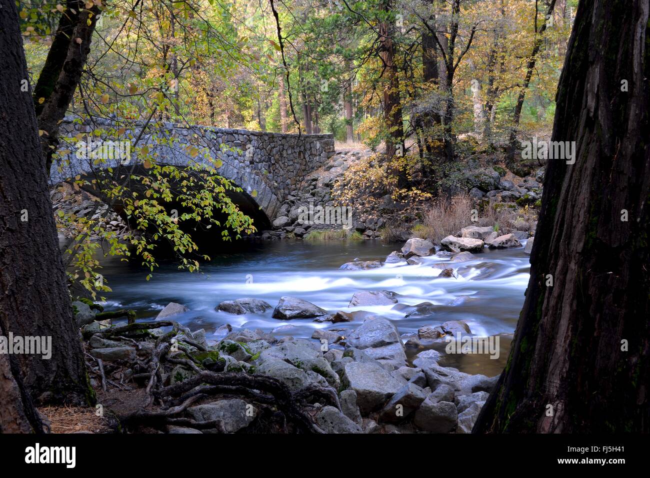 Pohono Bridge, Mersed River, Yosemite National Park, California Stock ...