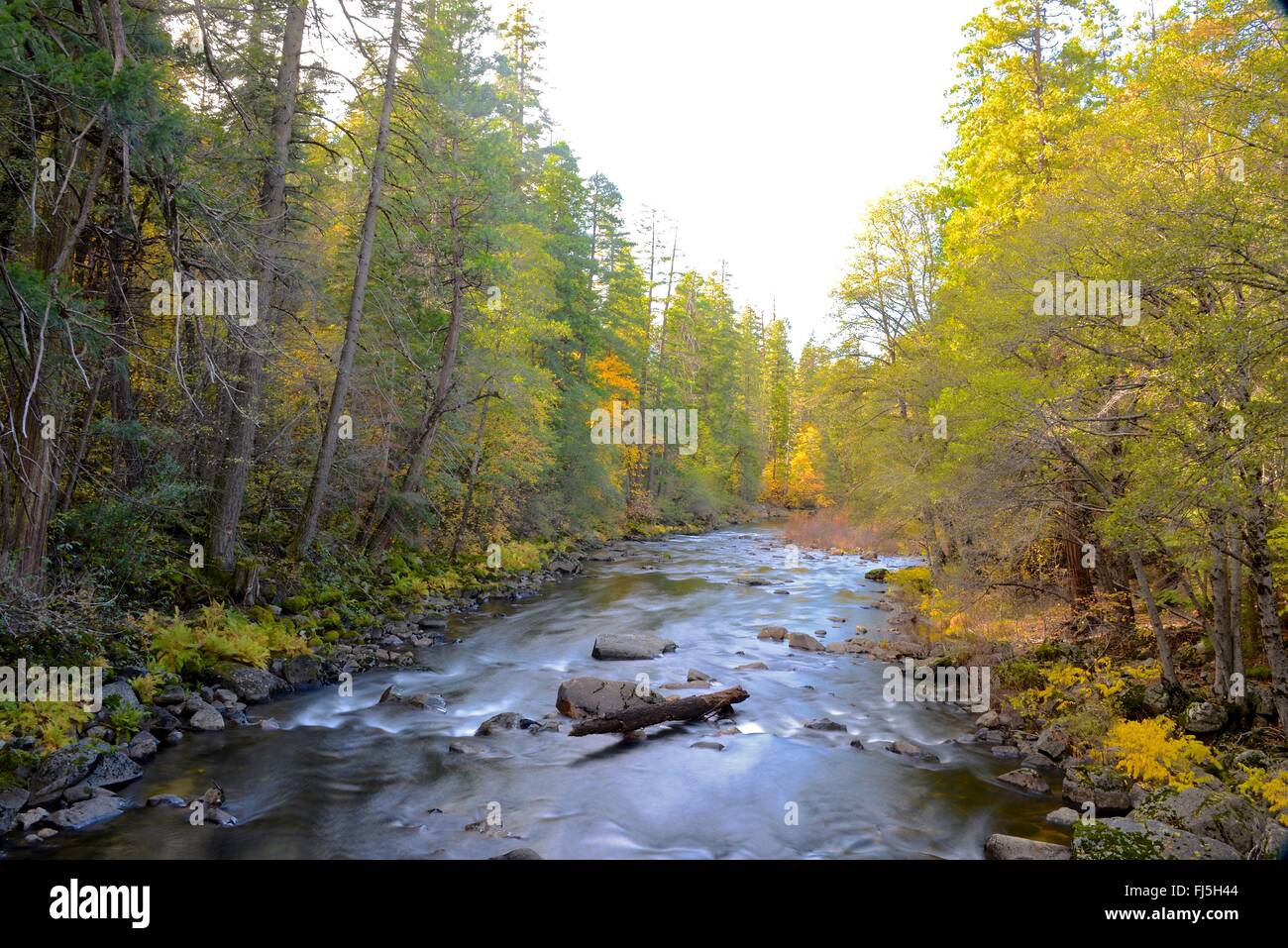 Williamson River High Resolution Stock Photography and Images - Alamy