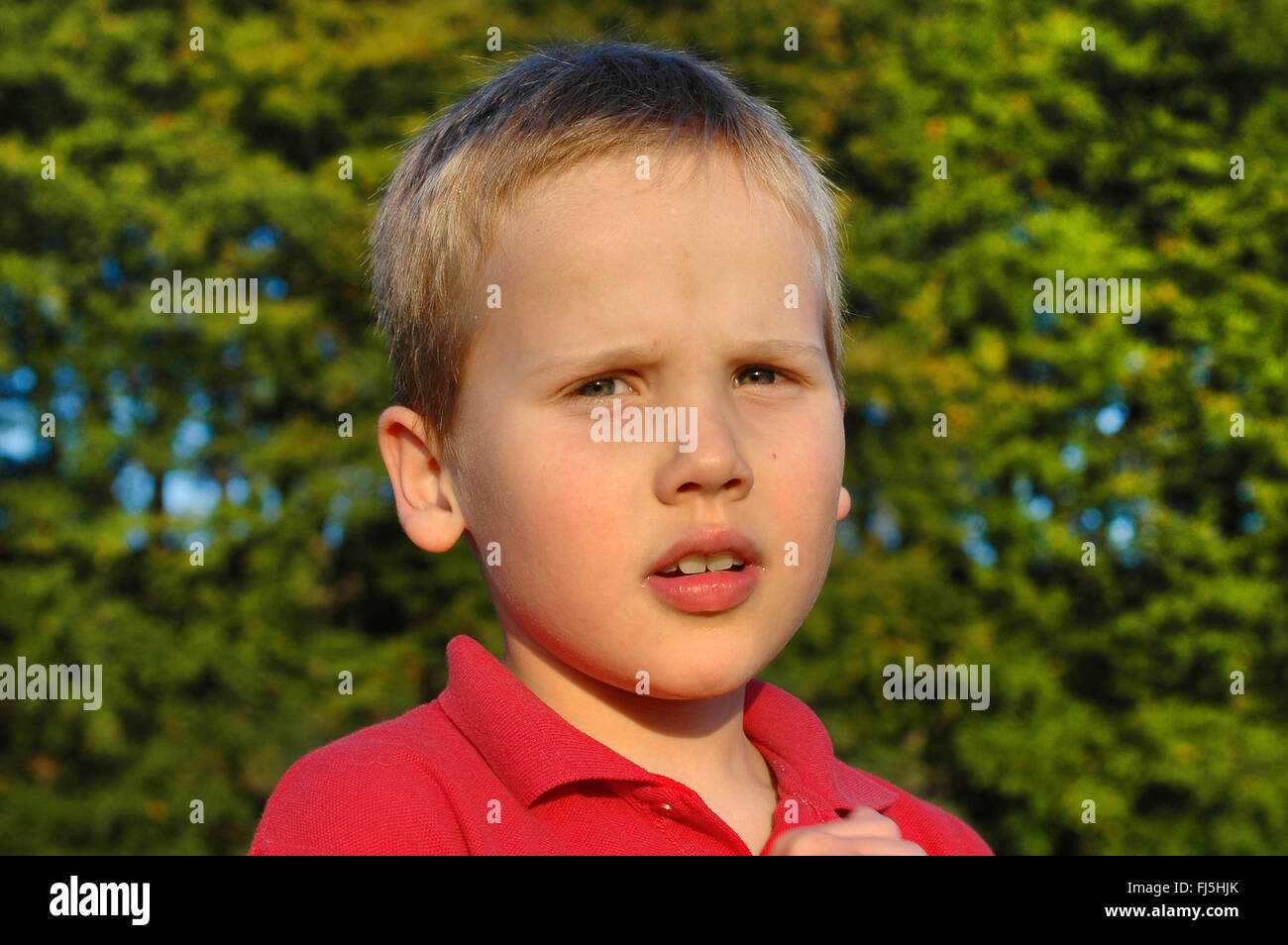 eight years old boy, portrait of a child Stock Photo - Alamy