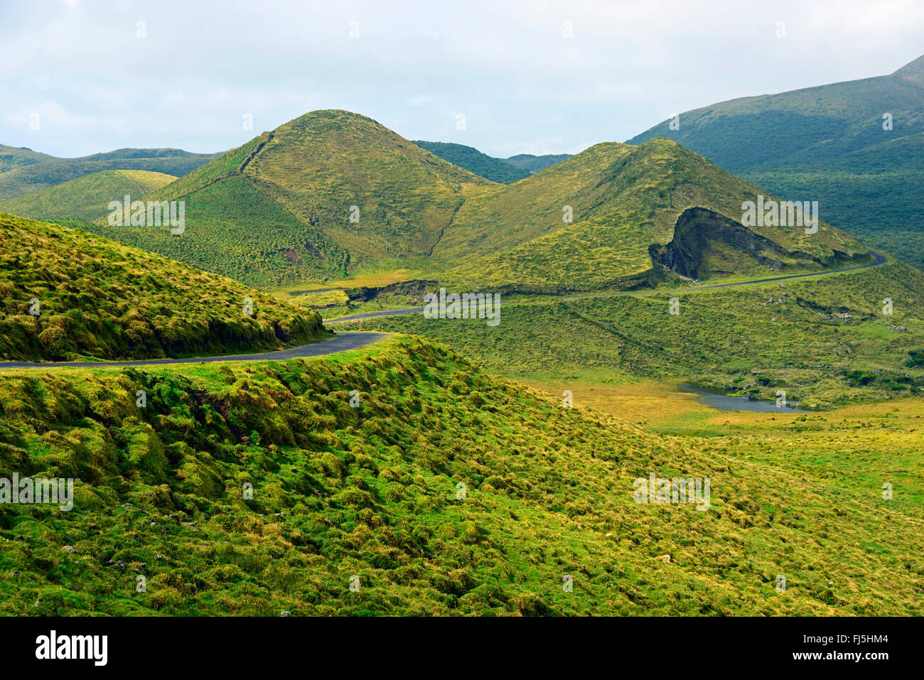 landscape at the highland of Pico, Portugal, Azores Stock Photo - Alamy