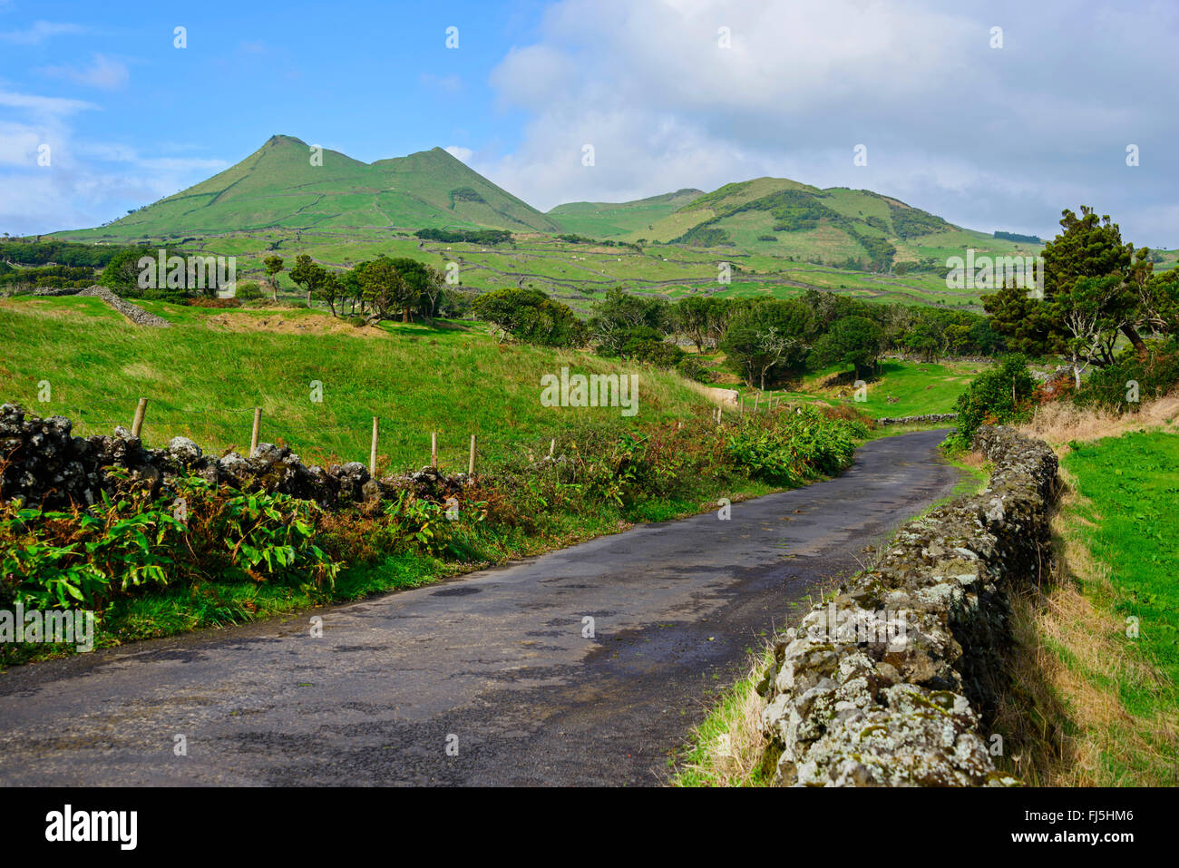 landscape at the highland of Pico, Portugal, Azores Stock Photo - Alamy