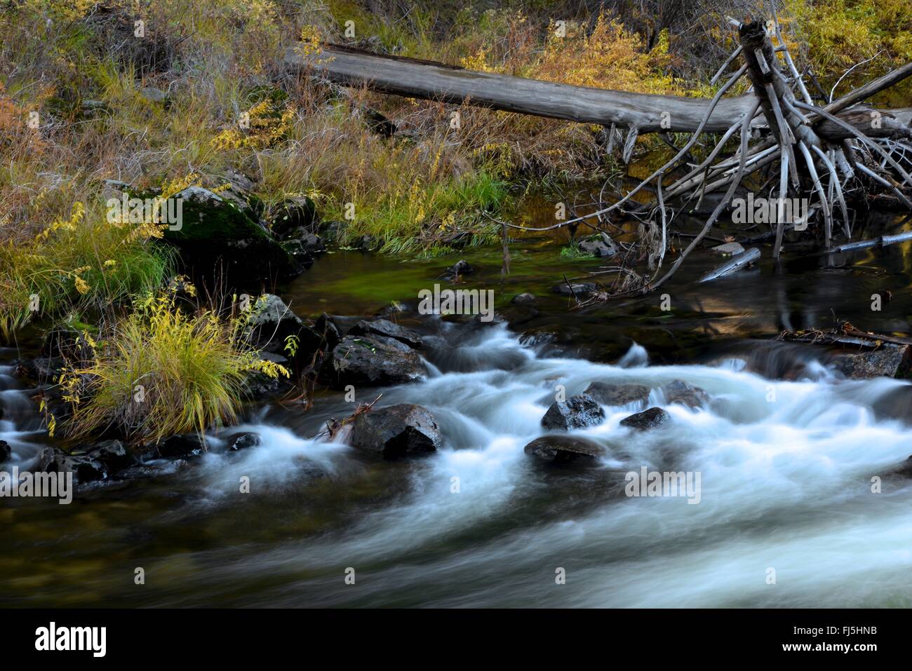 Mersed River, Yosemite National Park, California Stock Photo - Alamy